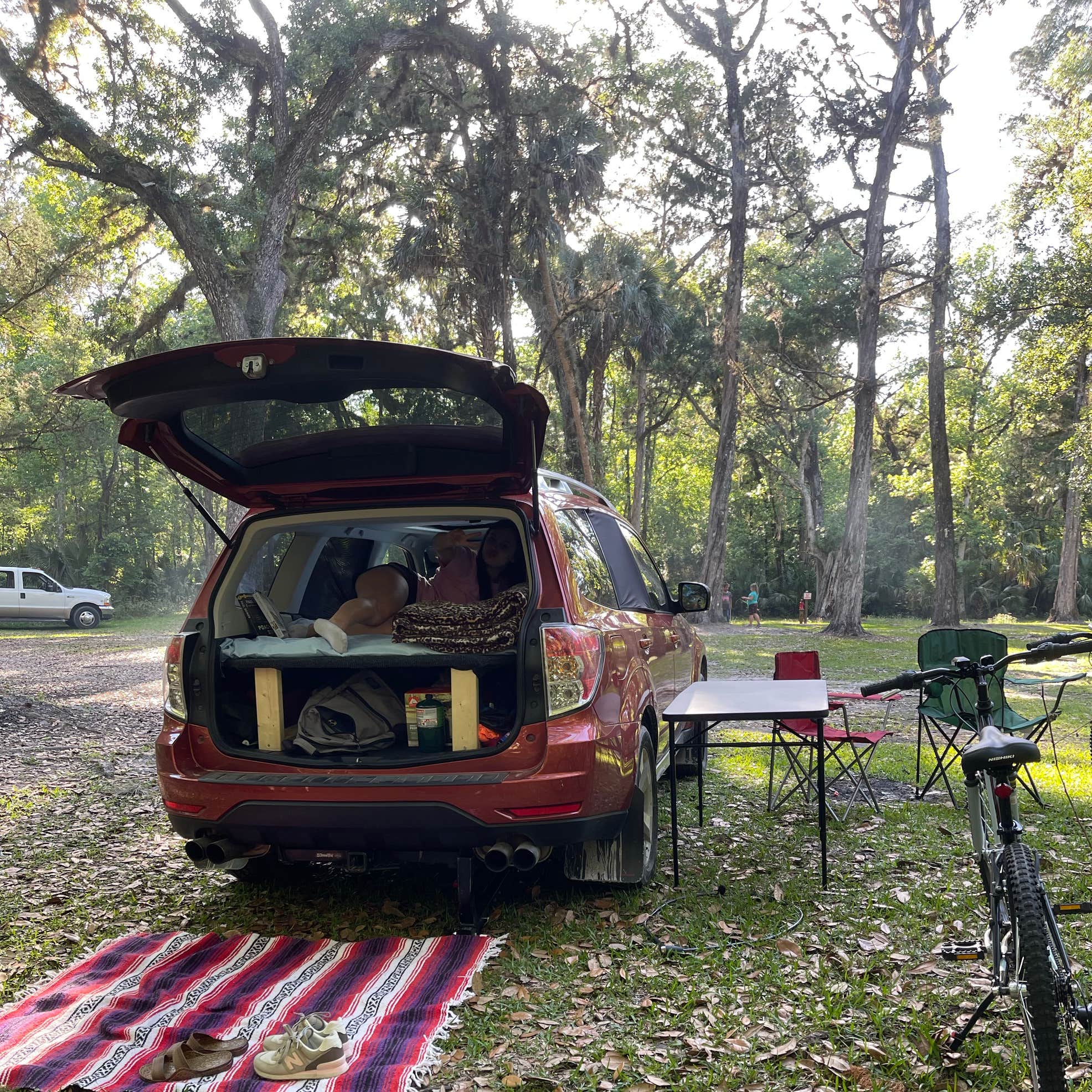 Green Swamp — West Tract Camping | Dade City, Florida