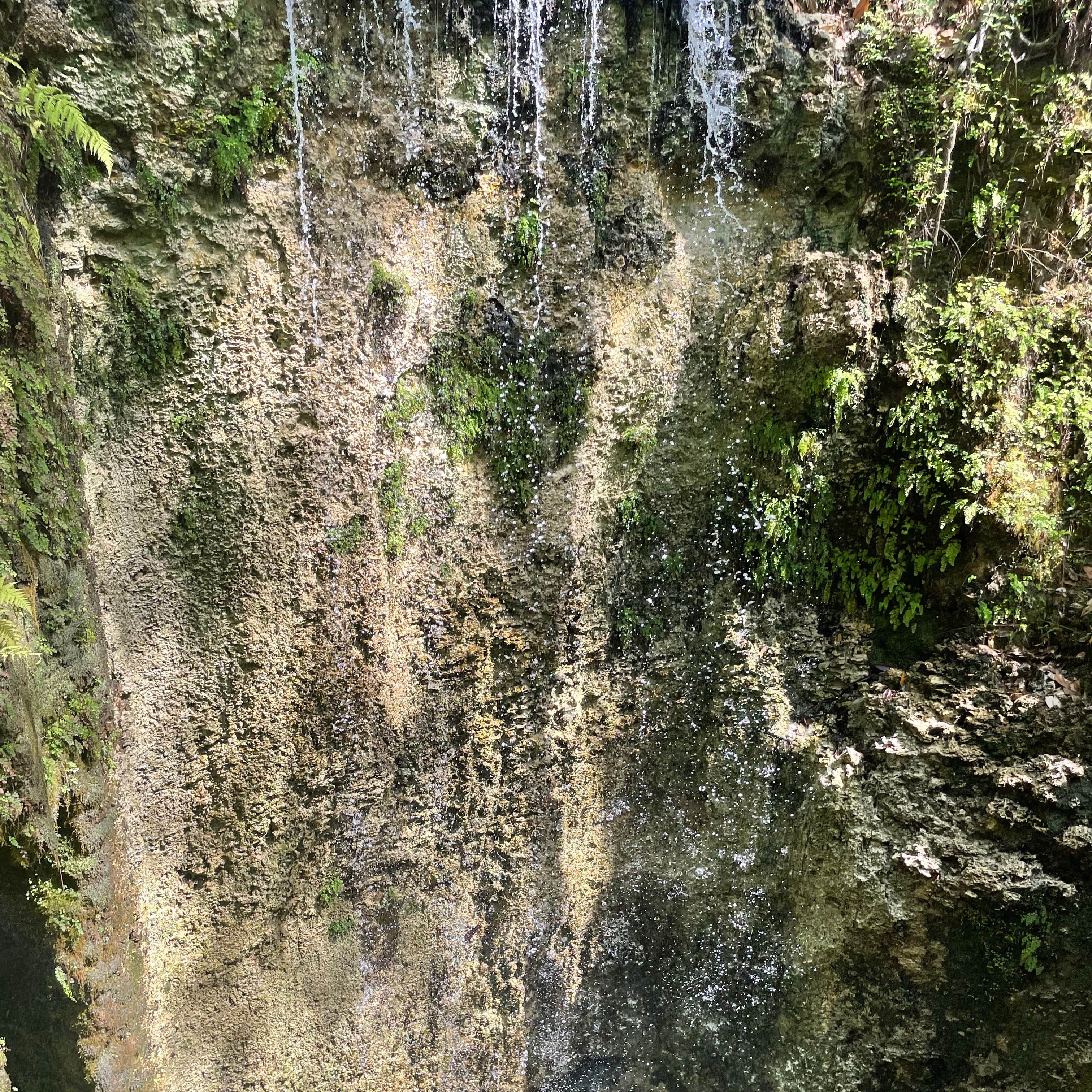 Falling Waters State Park Campground | Chipley, Florida