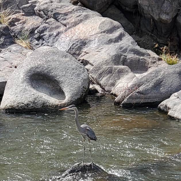 Keysville South Recreation Site Camping | The Dyrt