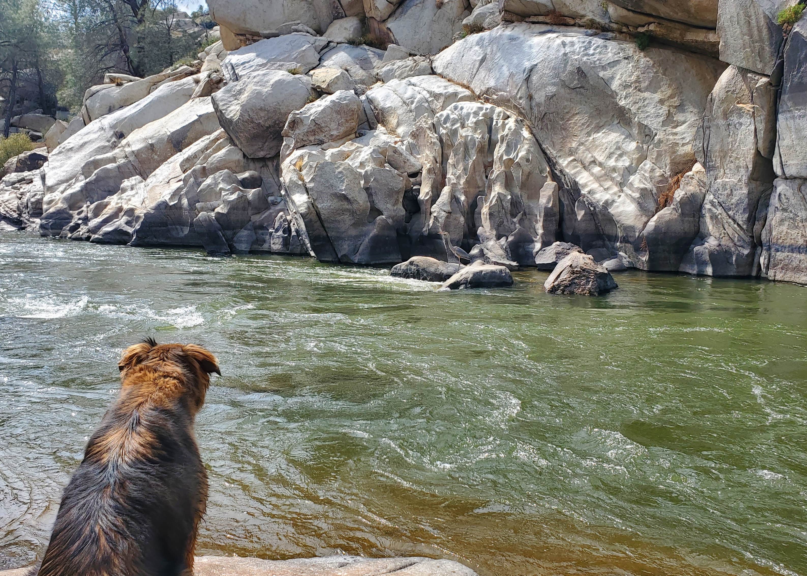 Keysville South Recreation Site Camping | The Dyrt