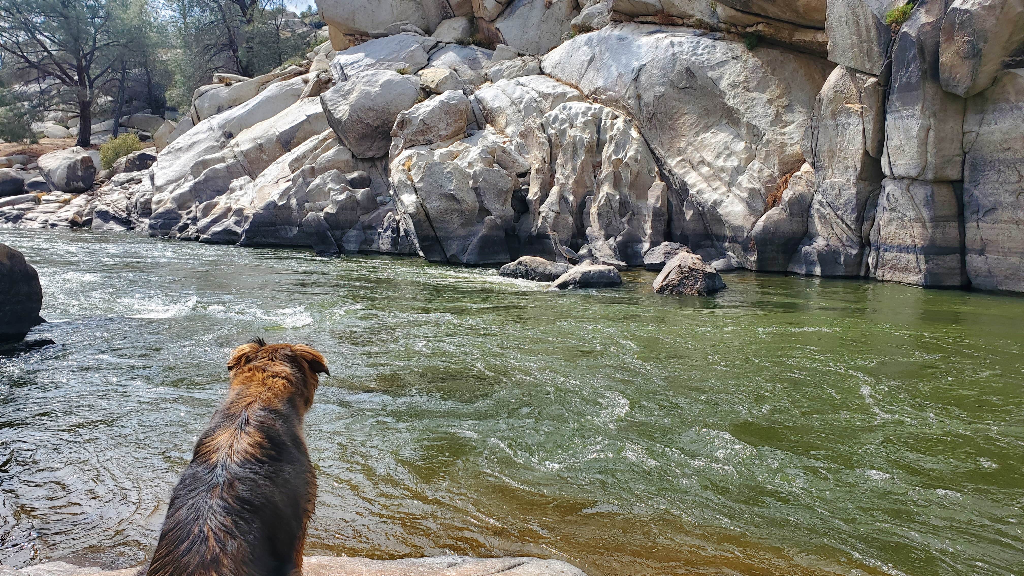 Keysville South Recreation Site Camping | Lake Isabella, CA