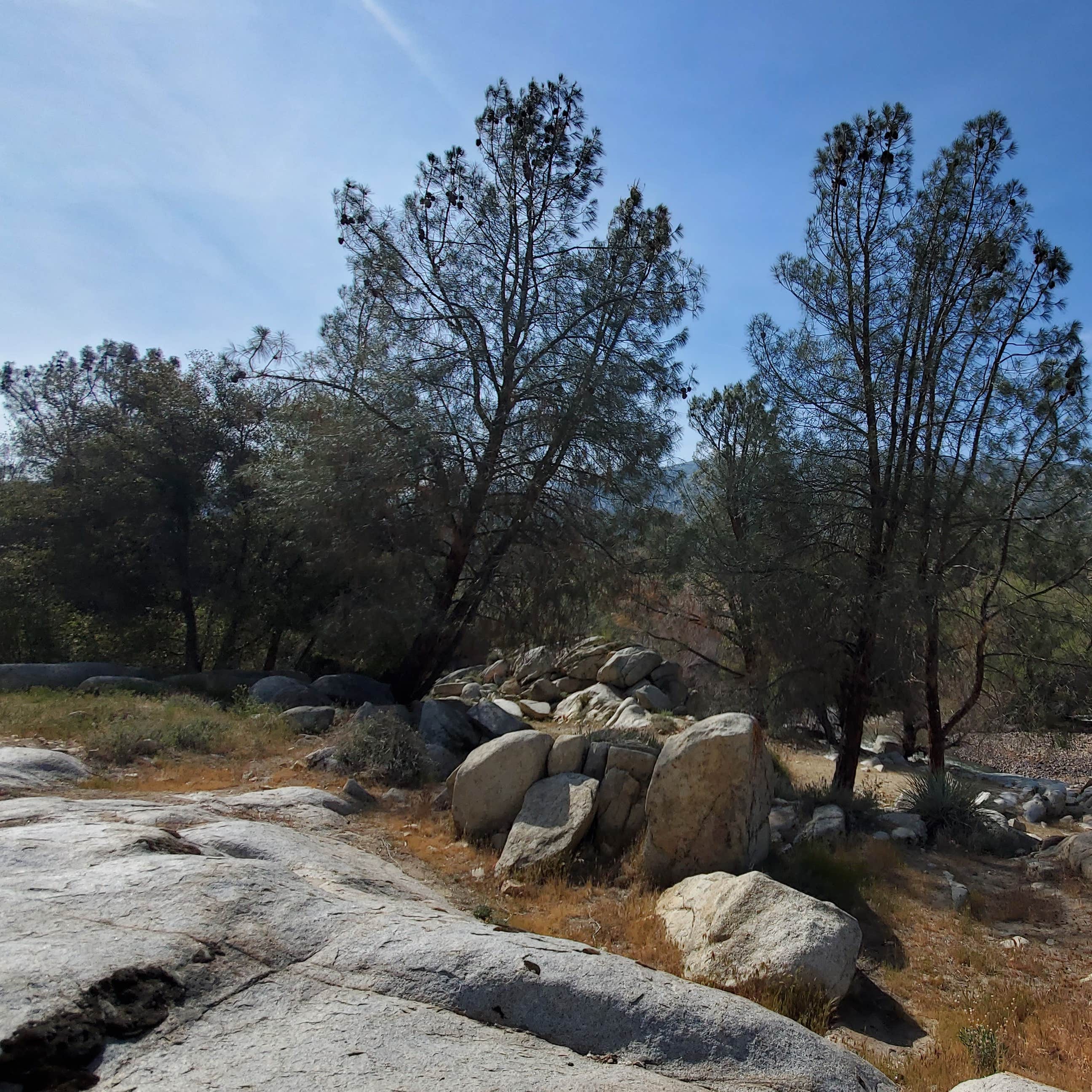 Keysville South Recreation Site Camping | The Dyrt