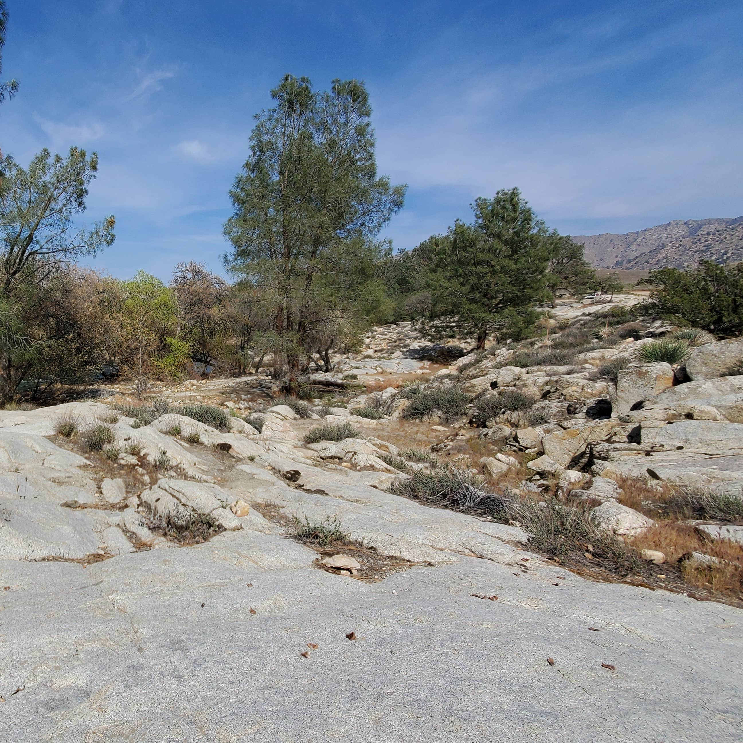Keysville South Recreation Site Camping | Lake Isabella, CA