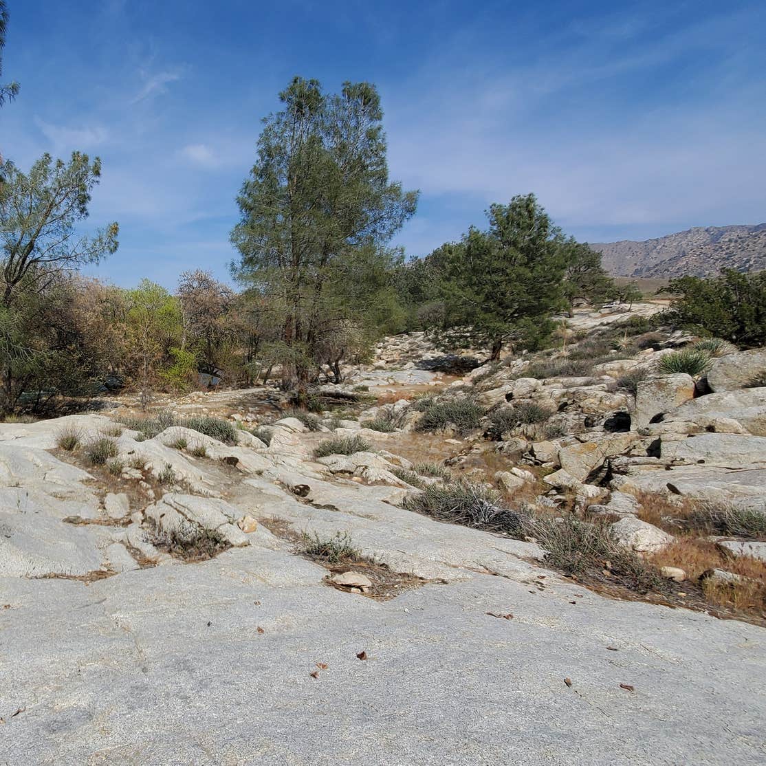 Keysville South Recreation Site Camping | Lake Isabella, California