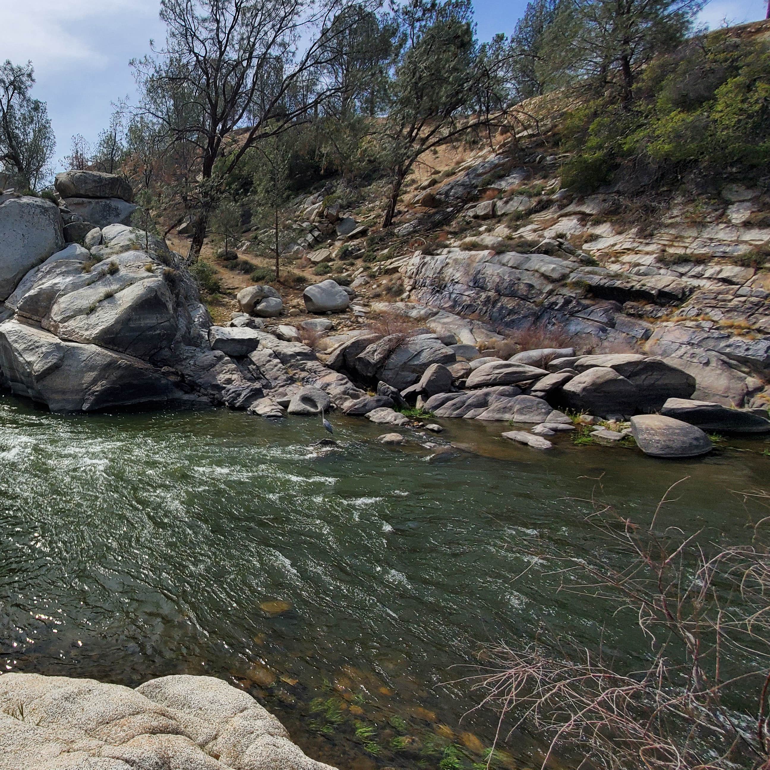 Keysville South Recreation Site Camping | The Dyrt