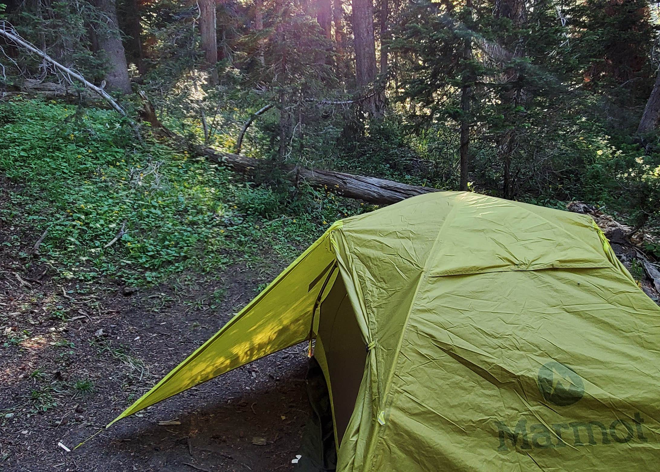 Grand Teton NP Open Canyon Camping | The Dyrt
