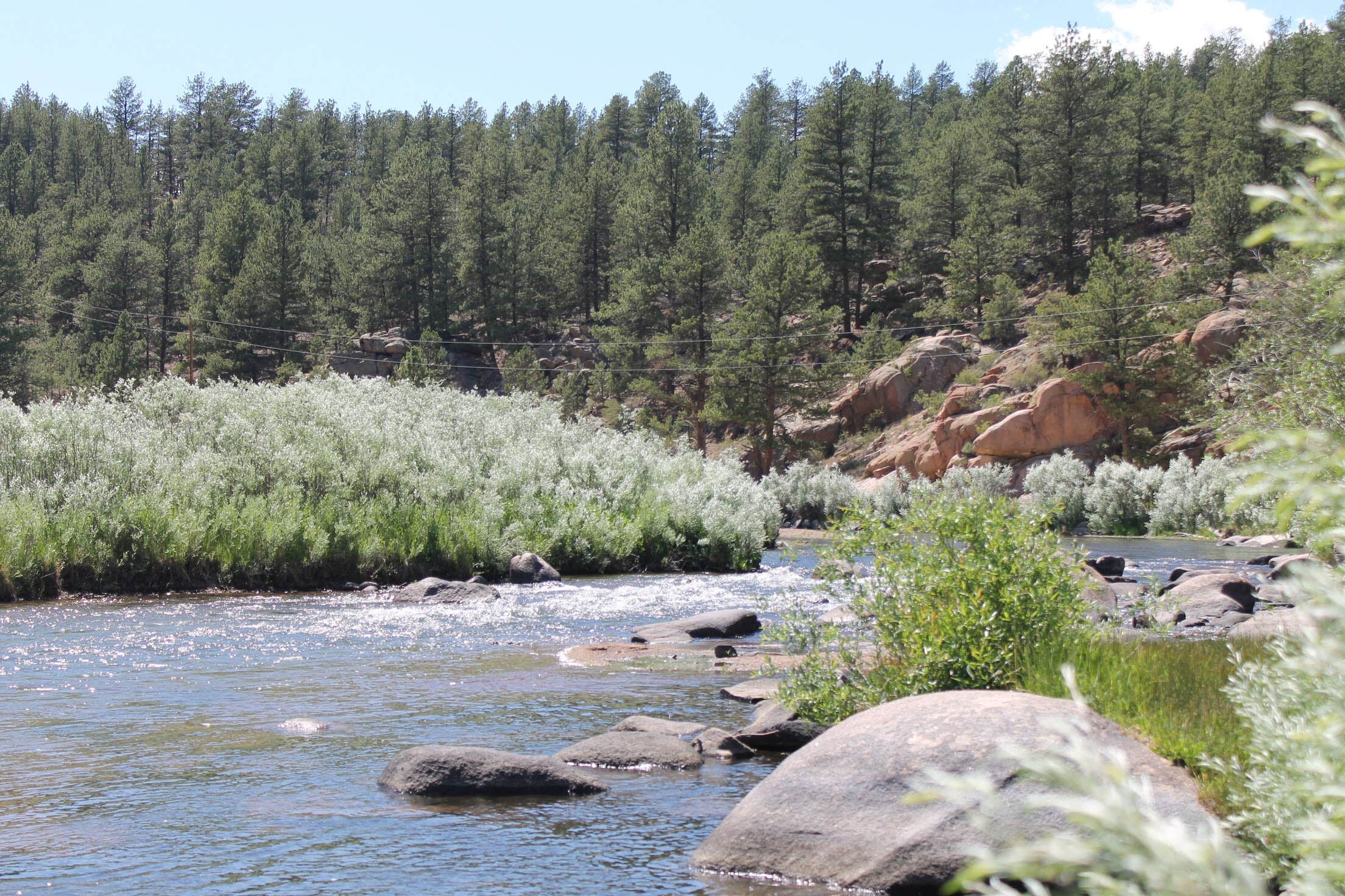 Happy Meadows Camping | Lake George, CO