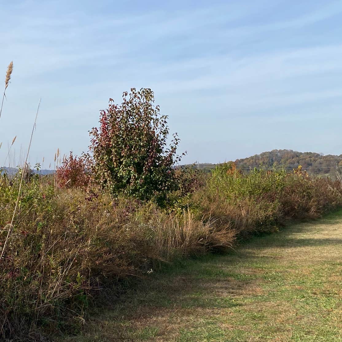 Bells Bend Park Camping | Pegram, Tennessee