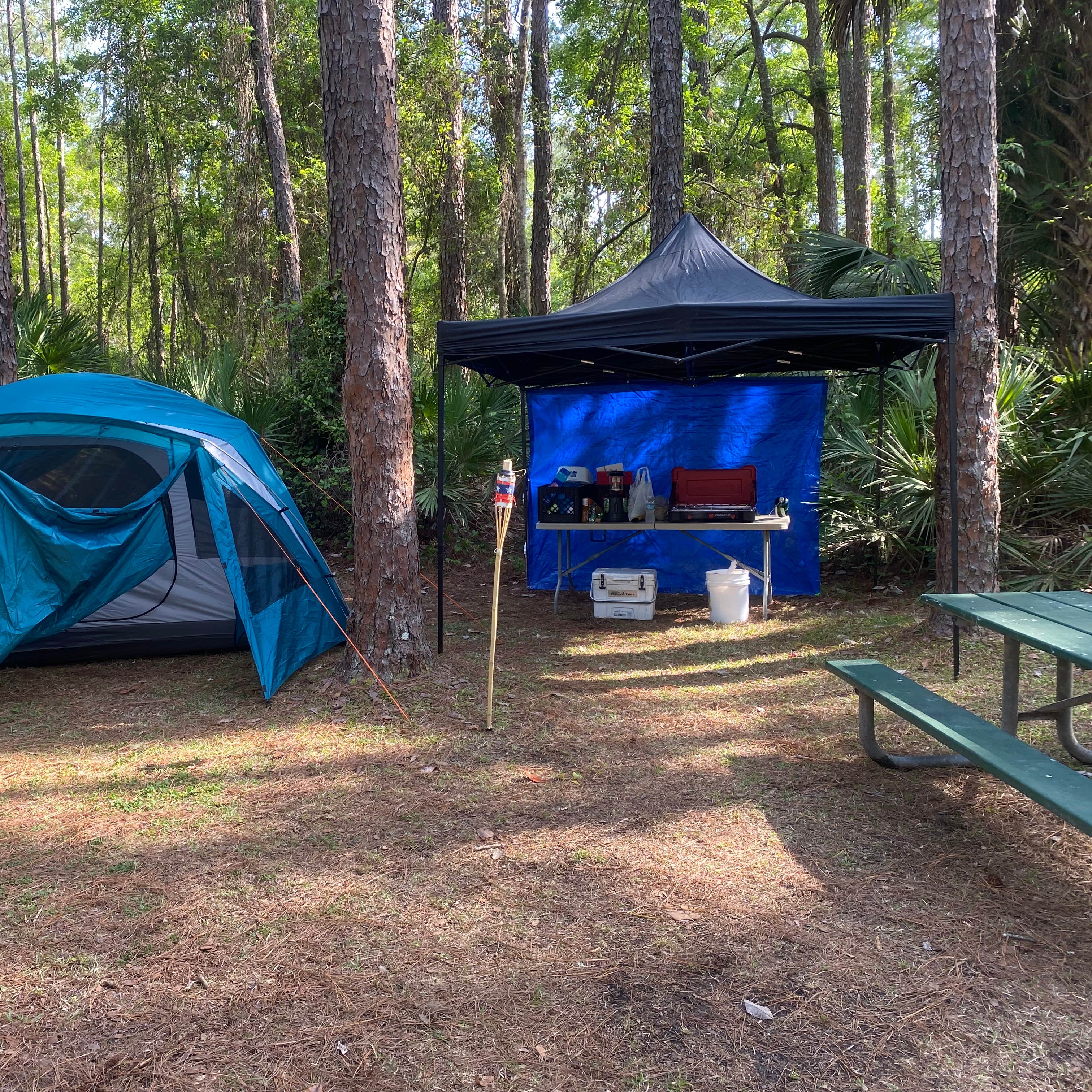 Rodman Campground | Palatka, FL