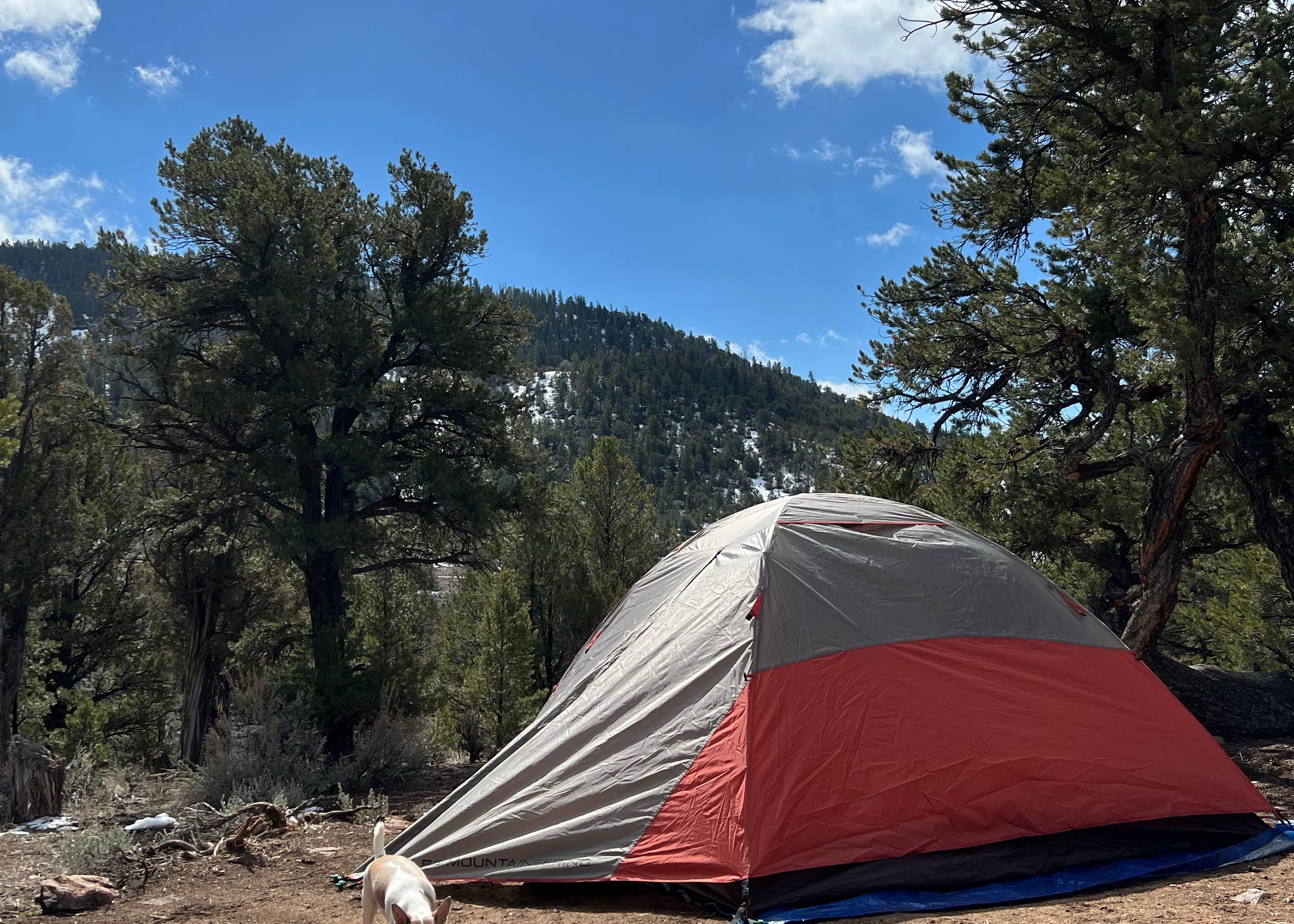 BLM-Cottonwood Campground | Go Camping America