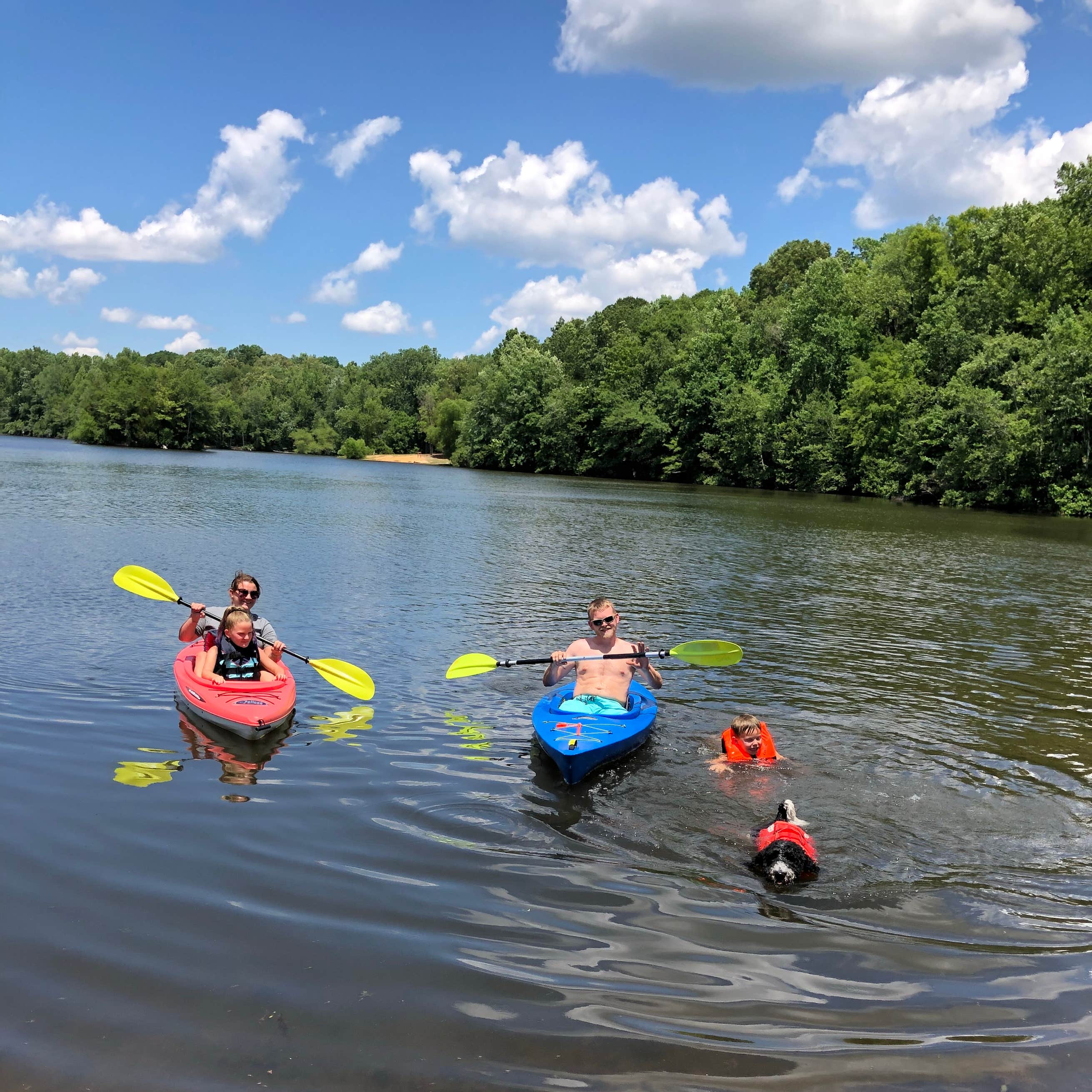Andrew Jackson State Park Camping | The Dyrt