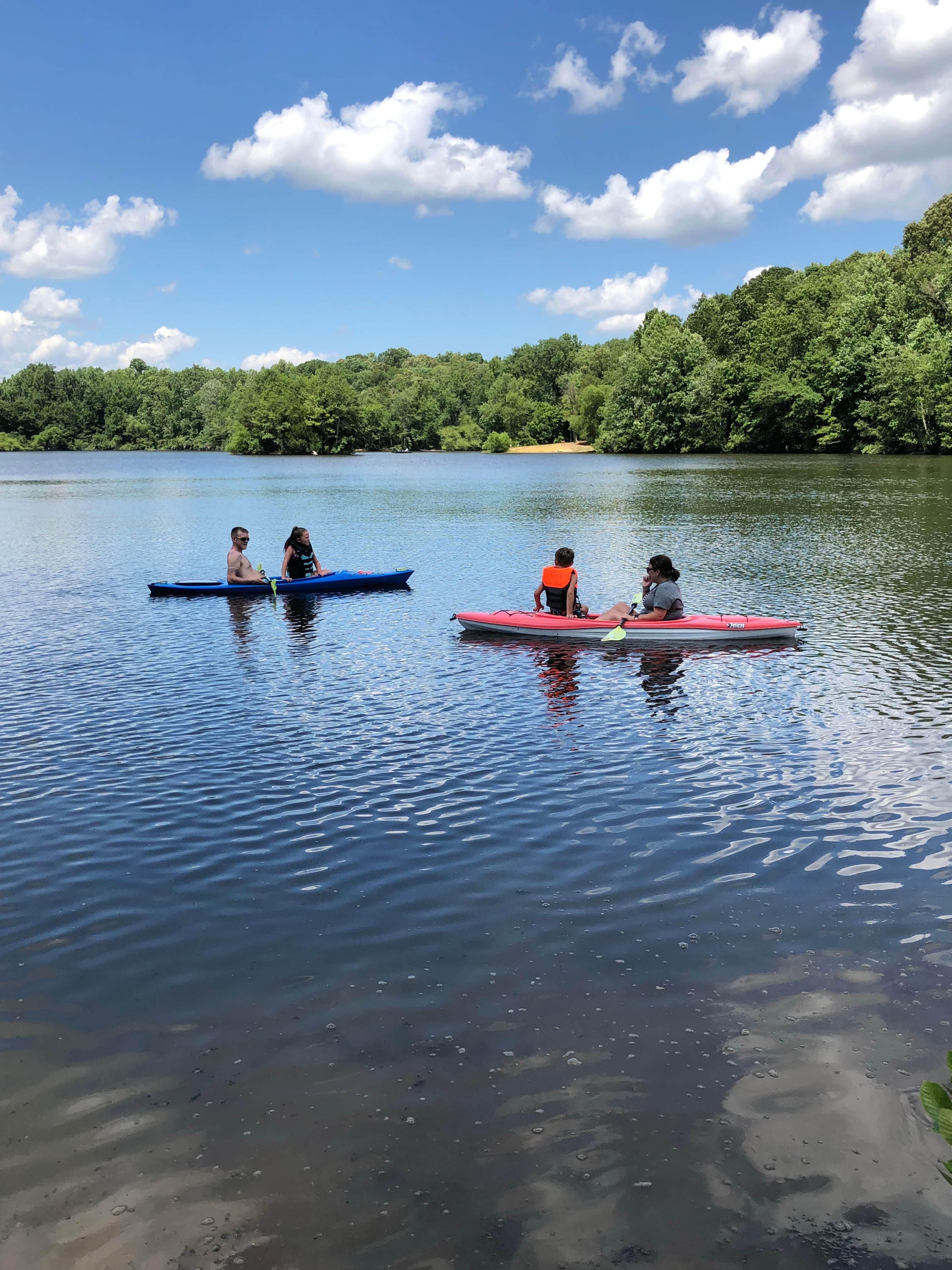 Are Dogs Allowed At Andrew Jackson State Park