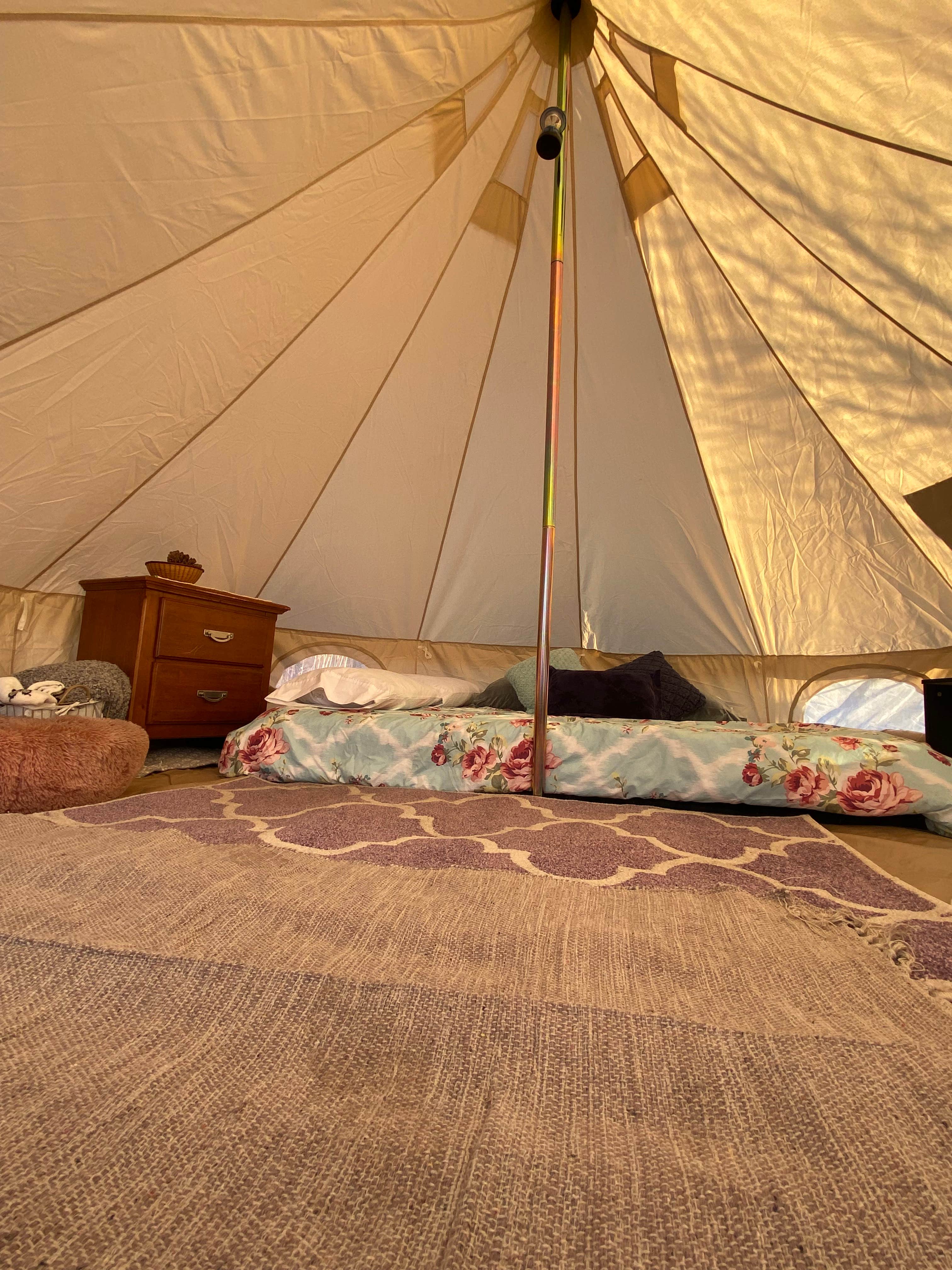 The Chicken Ranch | Antonito, CO