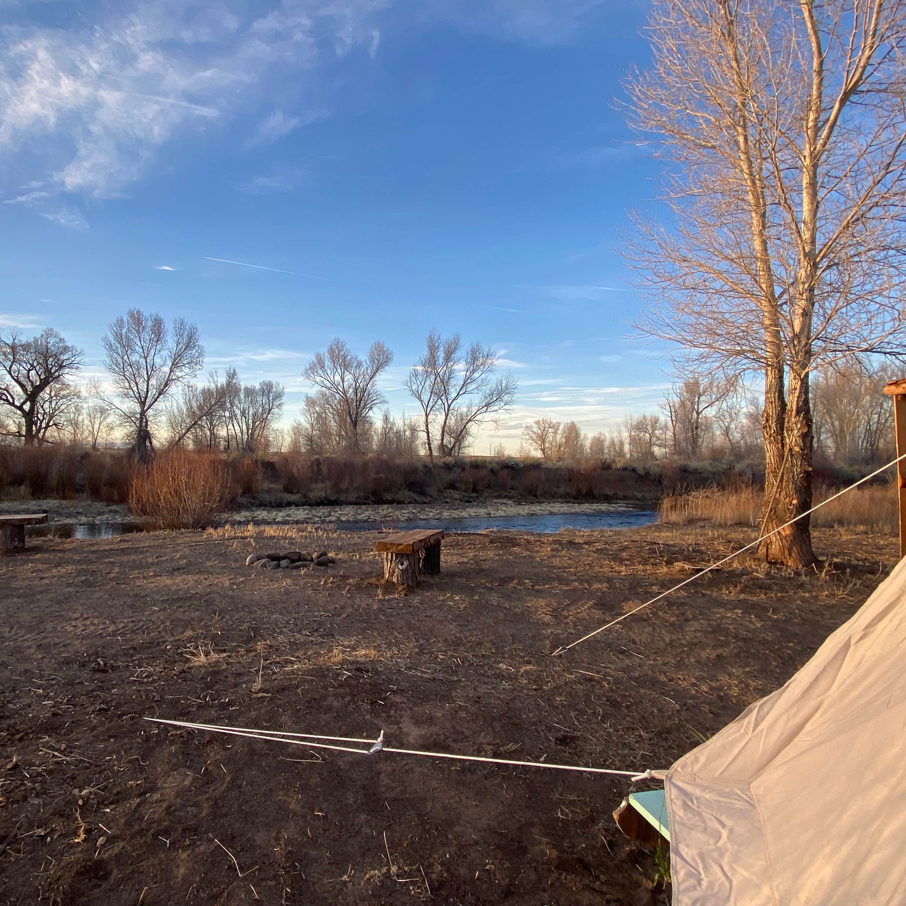 The Chicken Ranch Camping | The Dyrt