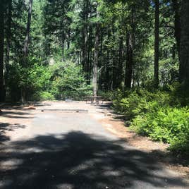 Panther Flat Campground Camping | The Dyrt
