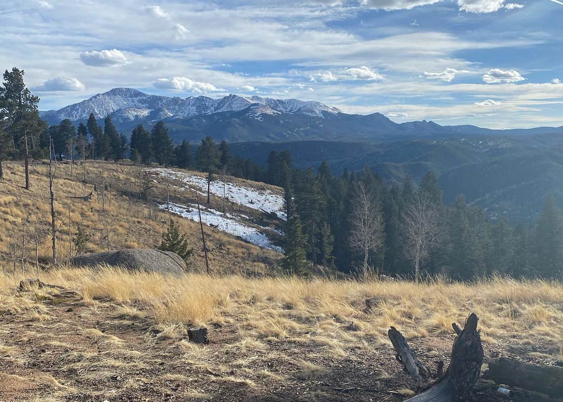 Rampart Reservoir Recreation Area Camping | The Dyrt