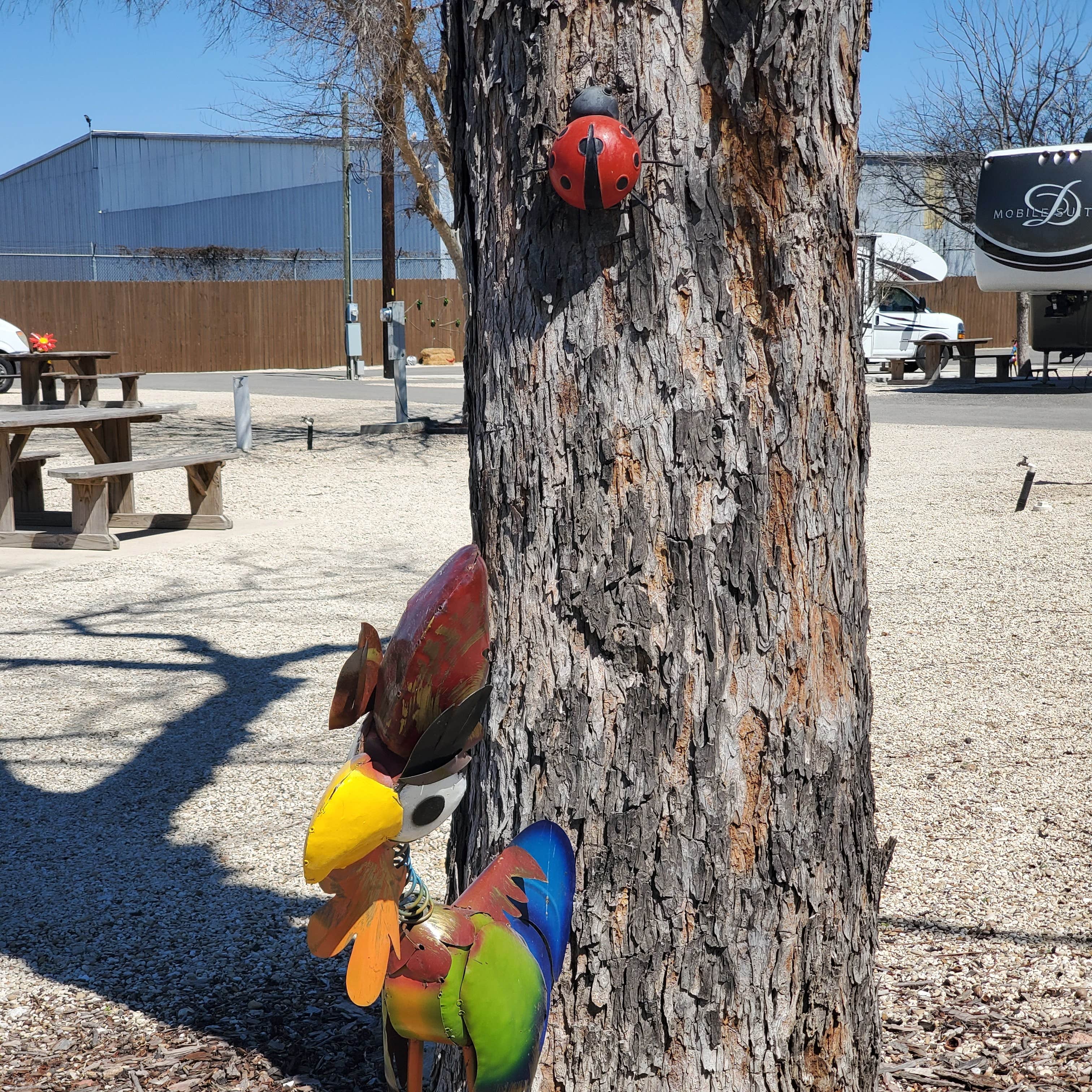 Mission City RV Park | Windcrest, Texas