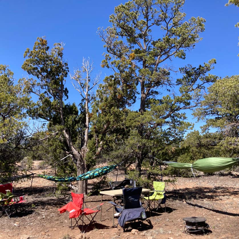 Kaibab Forest Dispersed FR 682 Camping | The Dyrt