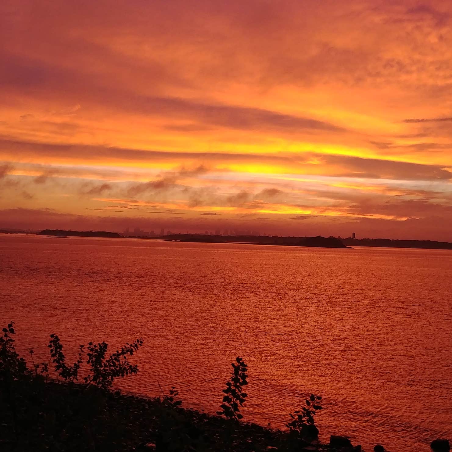 Boston Harbor Islands National and State Park Camping | The Dyrt