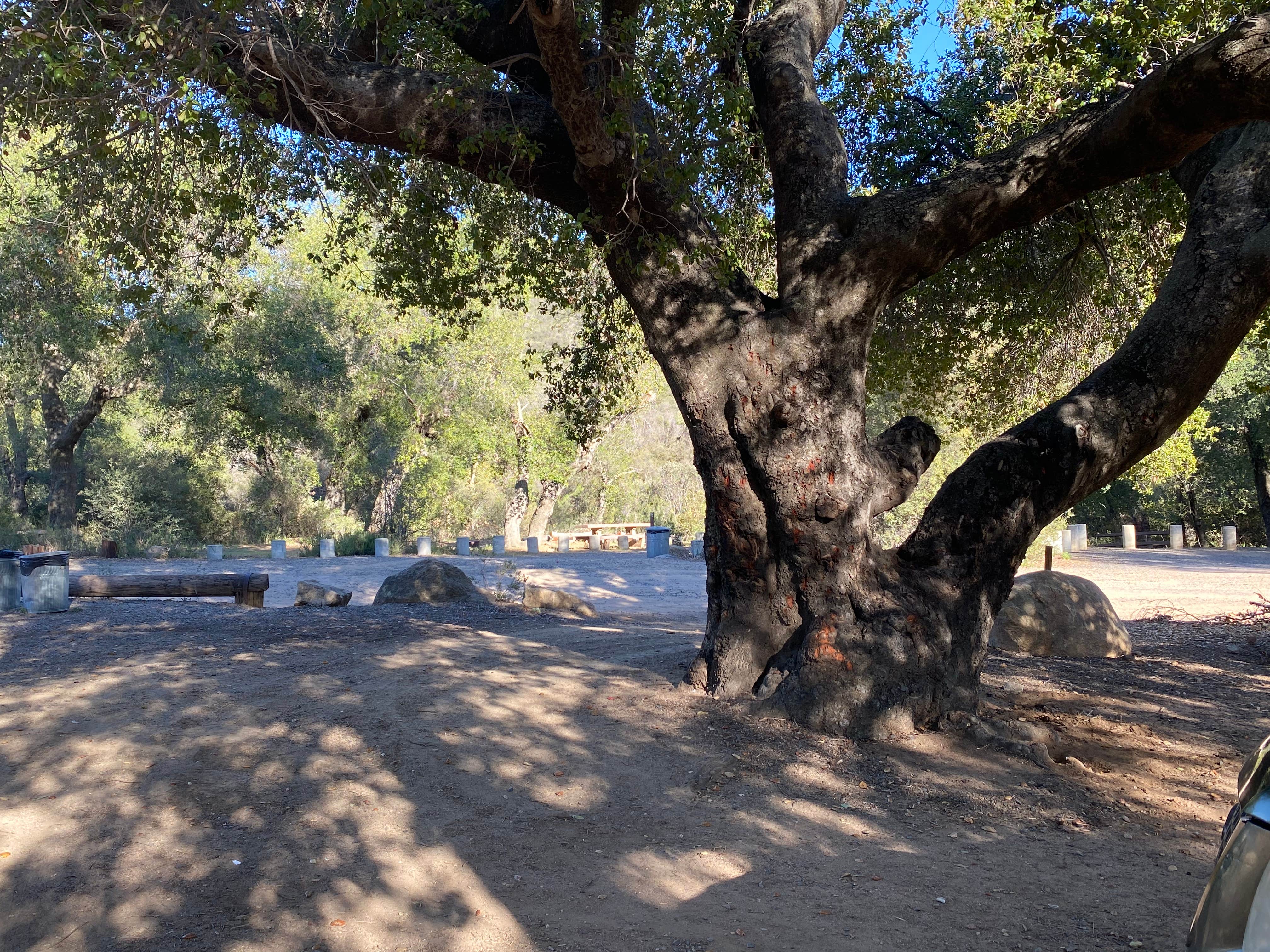 Wildomar Campground | Wildomar, California