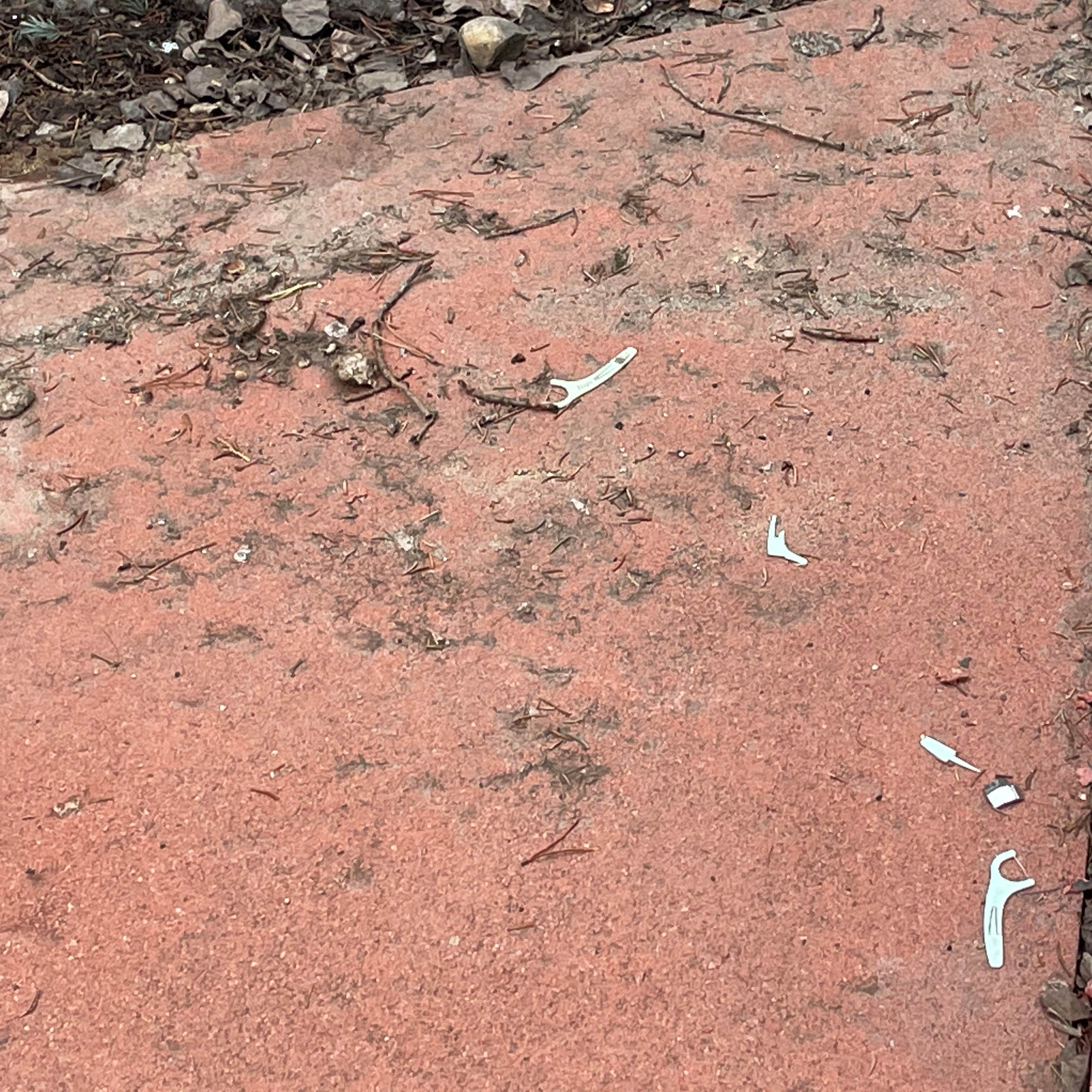 Tiger Run RV Resort | Breckenridge, Colorado