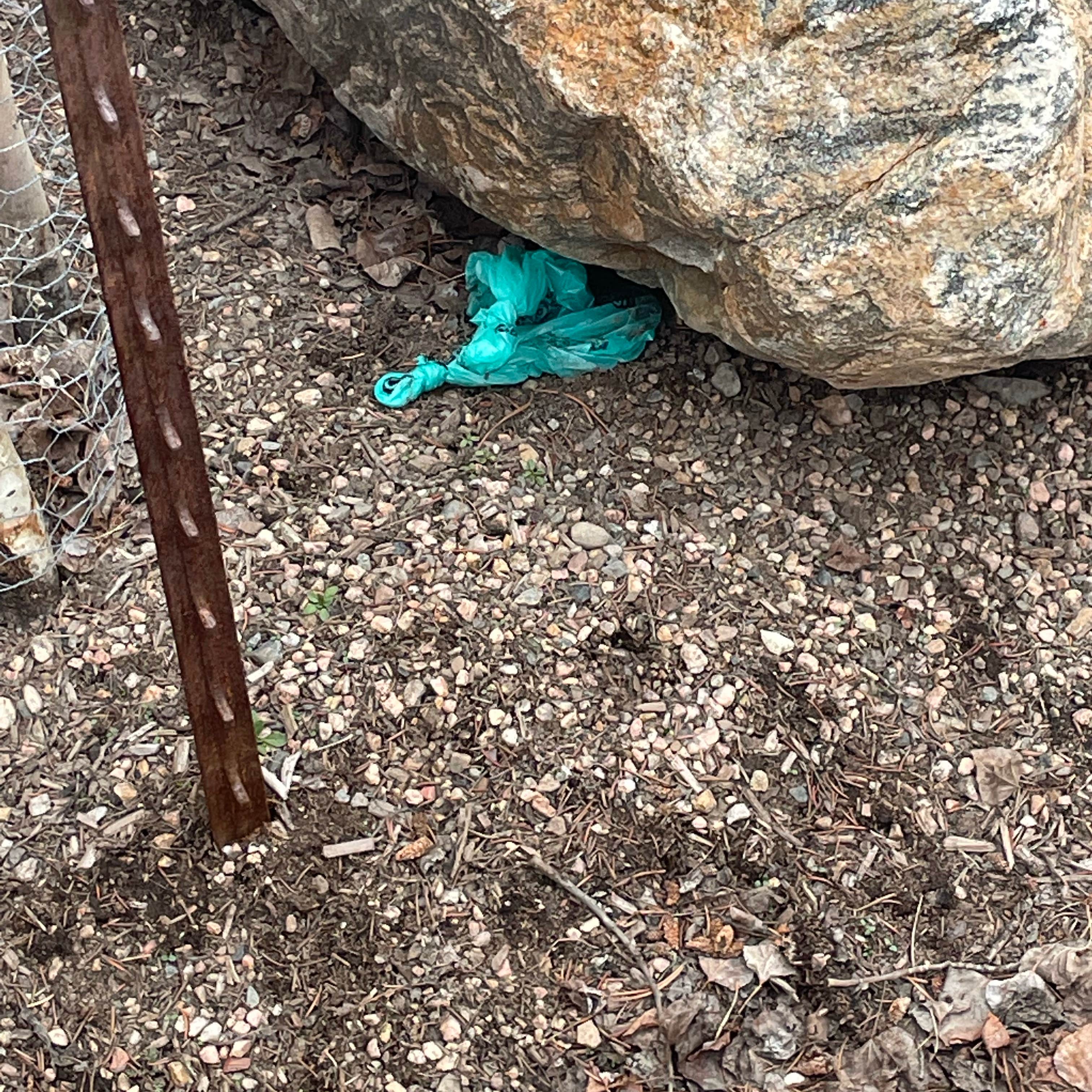 Tiger Run RV Resort | Breckenridge, Colorado