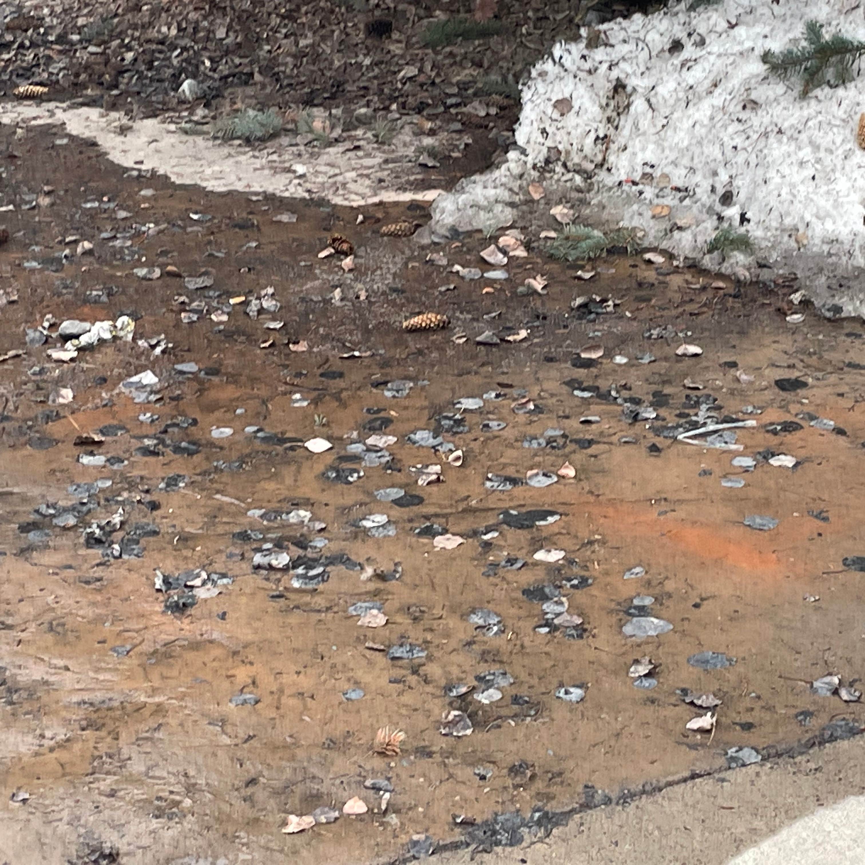 Tiger Run RV Resort | Breckenridge, Colorado