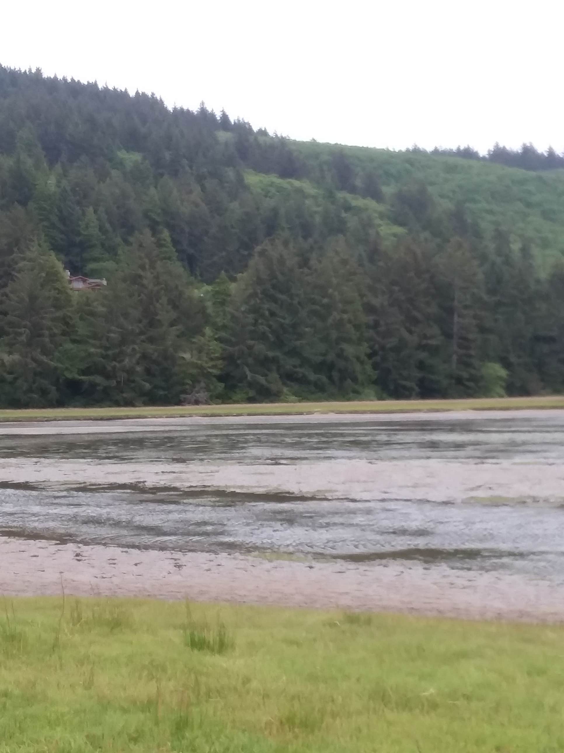 Tillamook County Whalen Island Camping | Cloverdale, OR