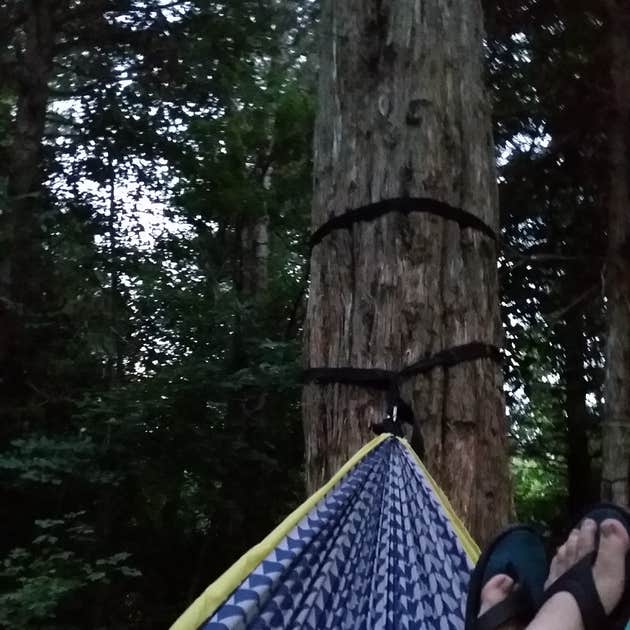 Shenandoah River State Park Camping | The Dyrt