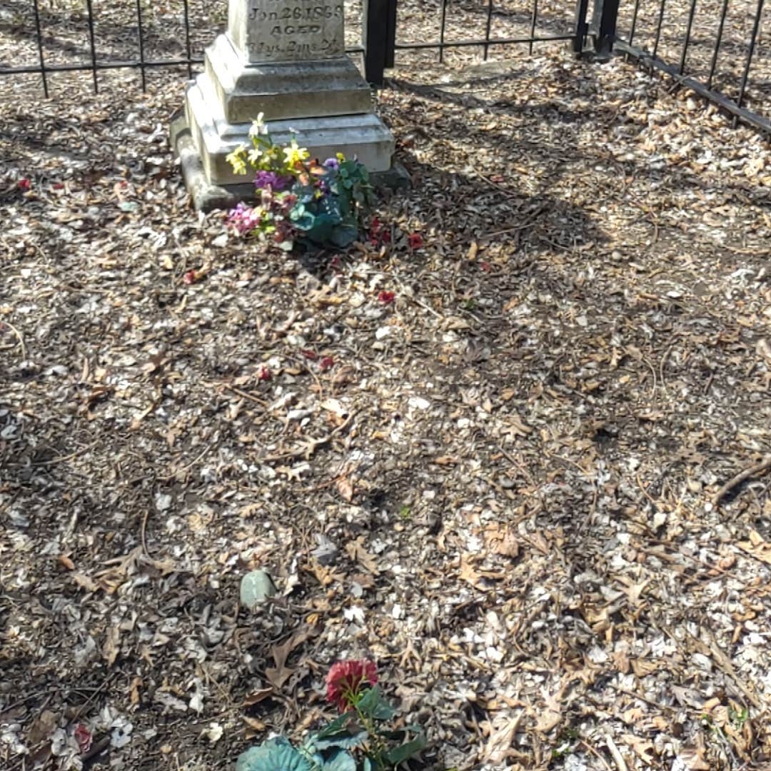 Thomas Mitchell County Park Camping | Mitchellville, Iowa