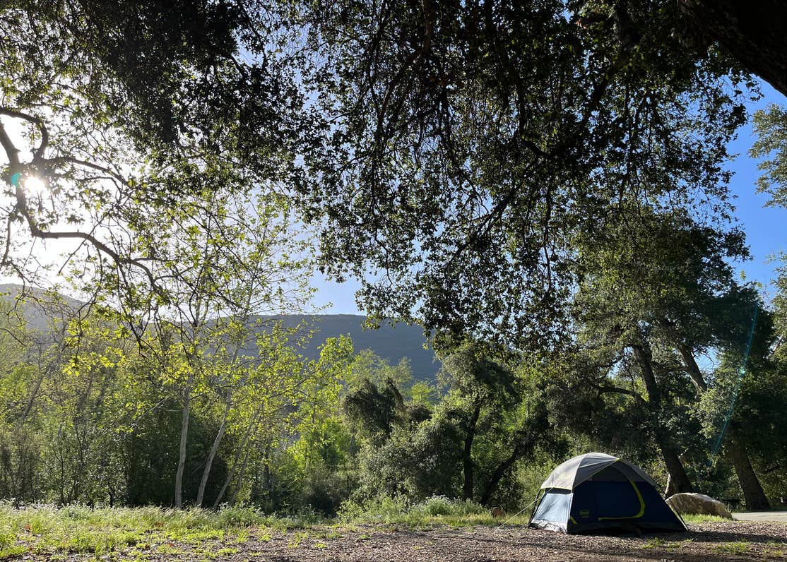 Coldbrook Campground Camping | The Dyrt