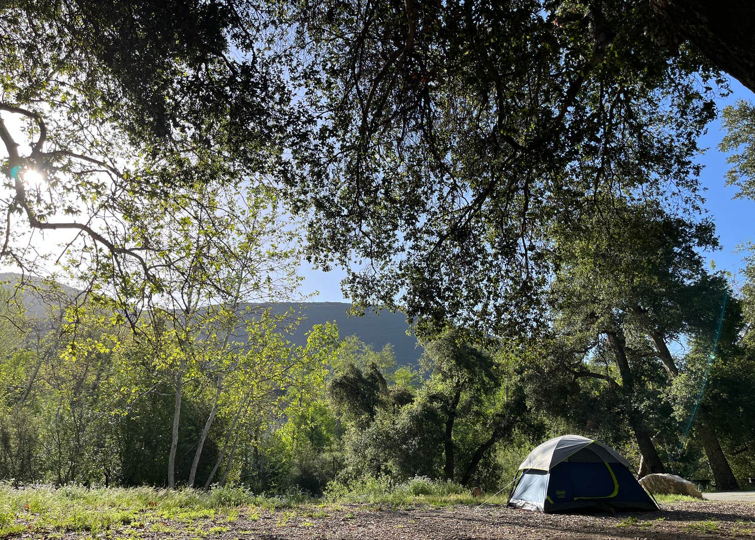 Coldbrook Campground Camping | The Dyrt