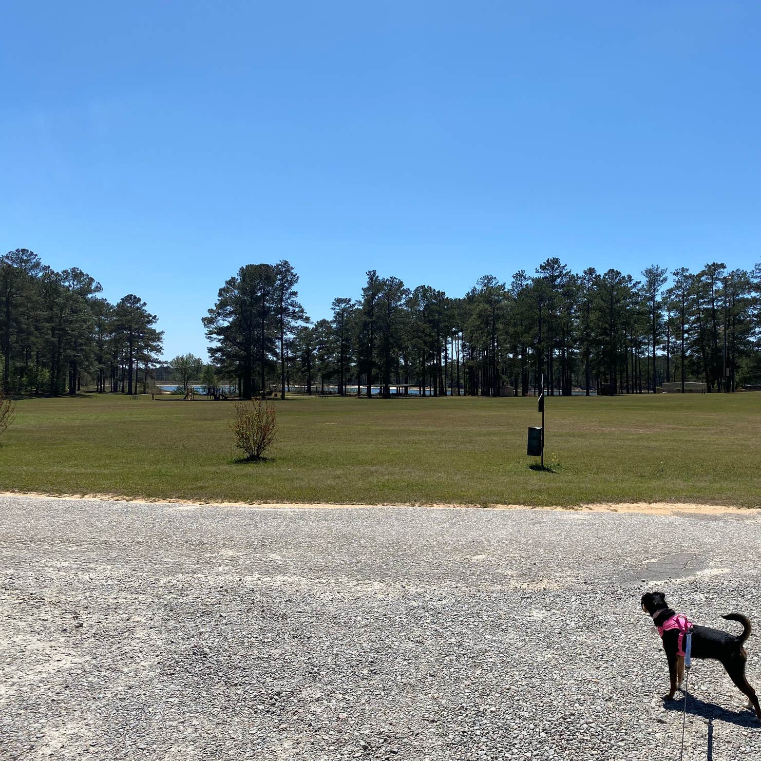 Weston Lake Recreation Area Camping | Columbia, SC