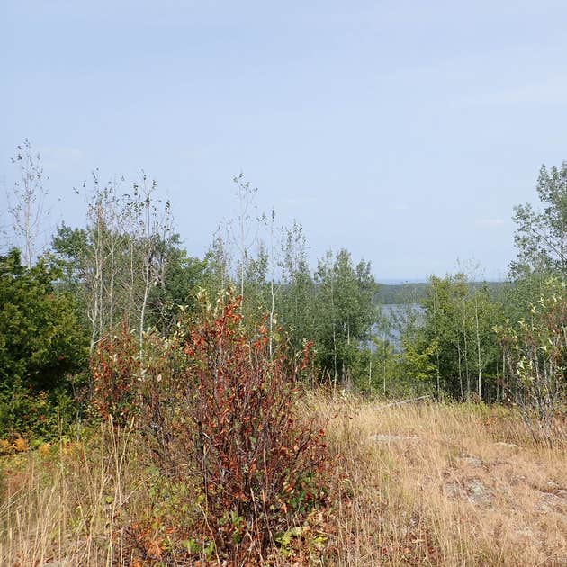 South Lake Desor Campground — Isle Royale National Park | Grand Portage ...