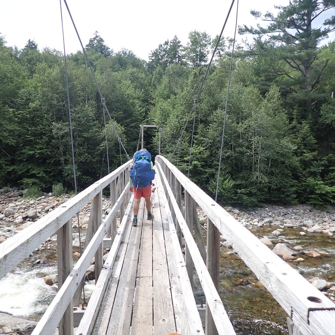 The Bluff- Great Gulf Wilderness Camping | Randolph, New Hampshire
