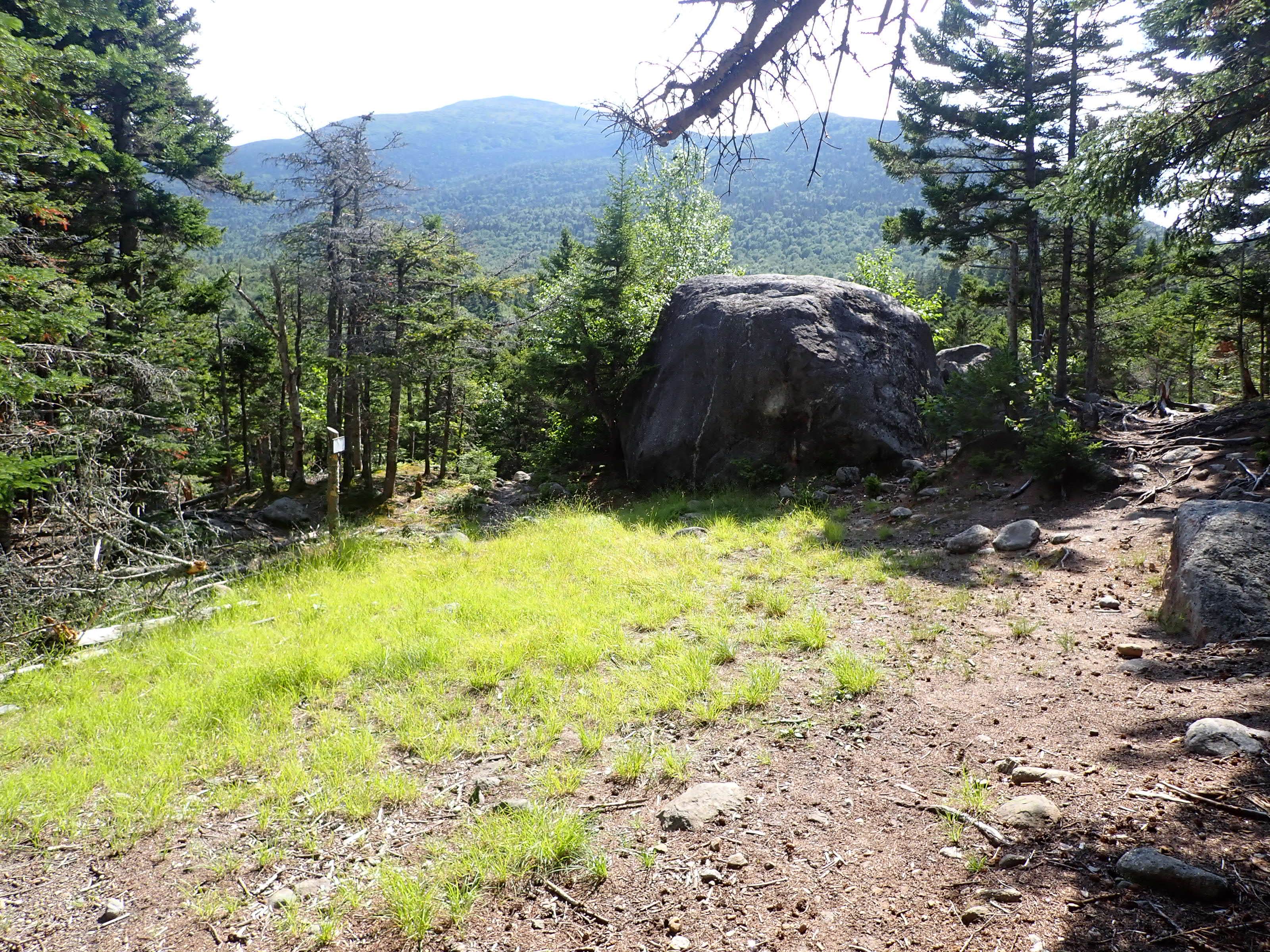 The Bluff- Great Gulf Wilderness Camping | Randolph, NH
