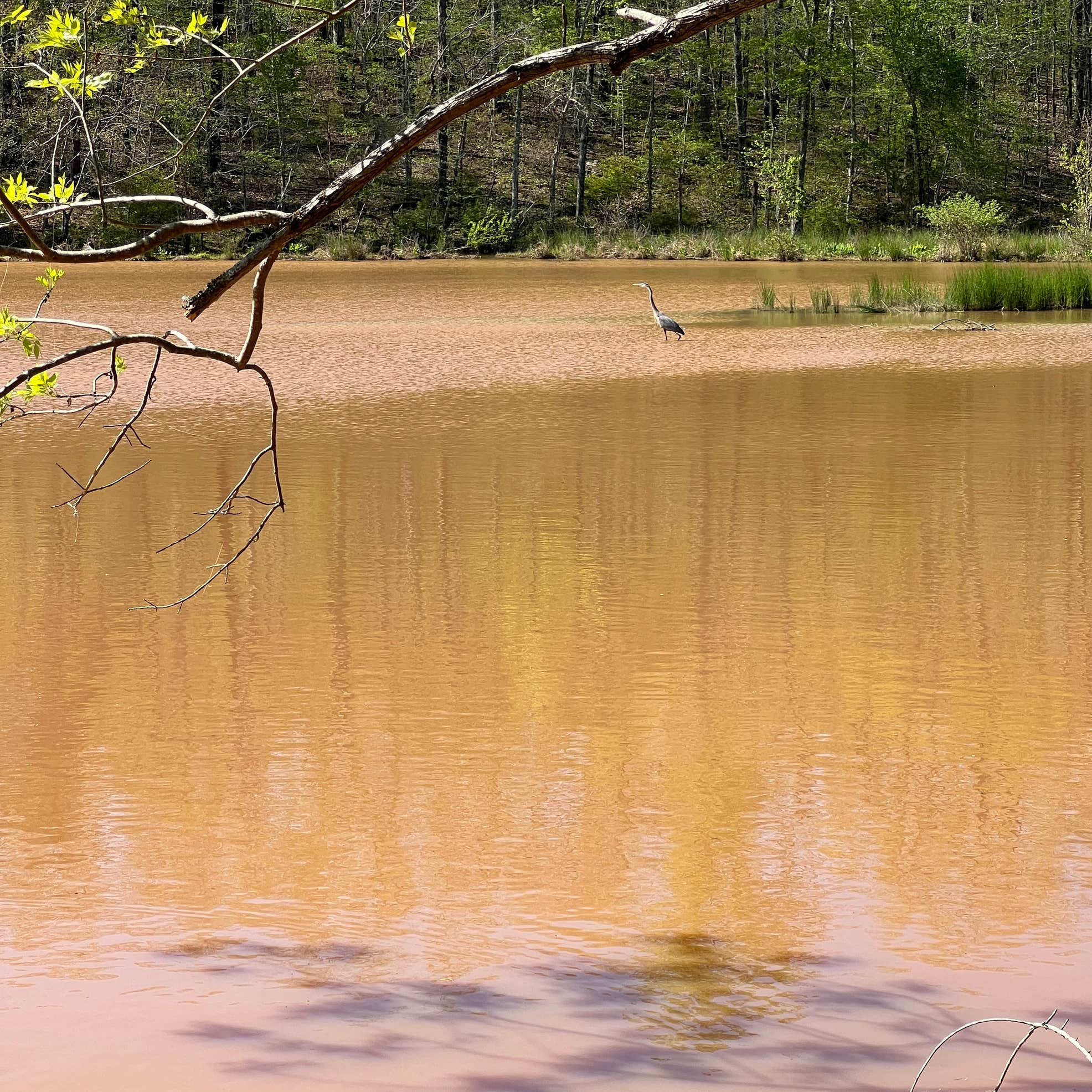 Lake Sinclair Campground Camping | The Dyrt