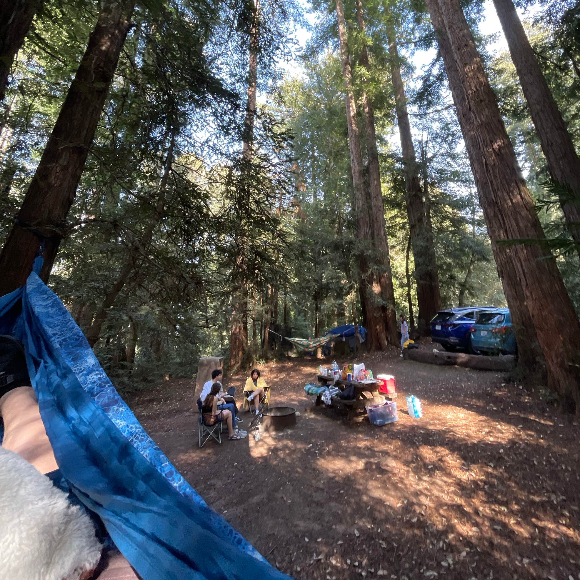 Mount Madonna Camping | Gilroy, CA