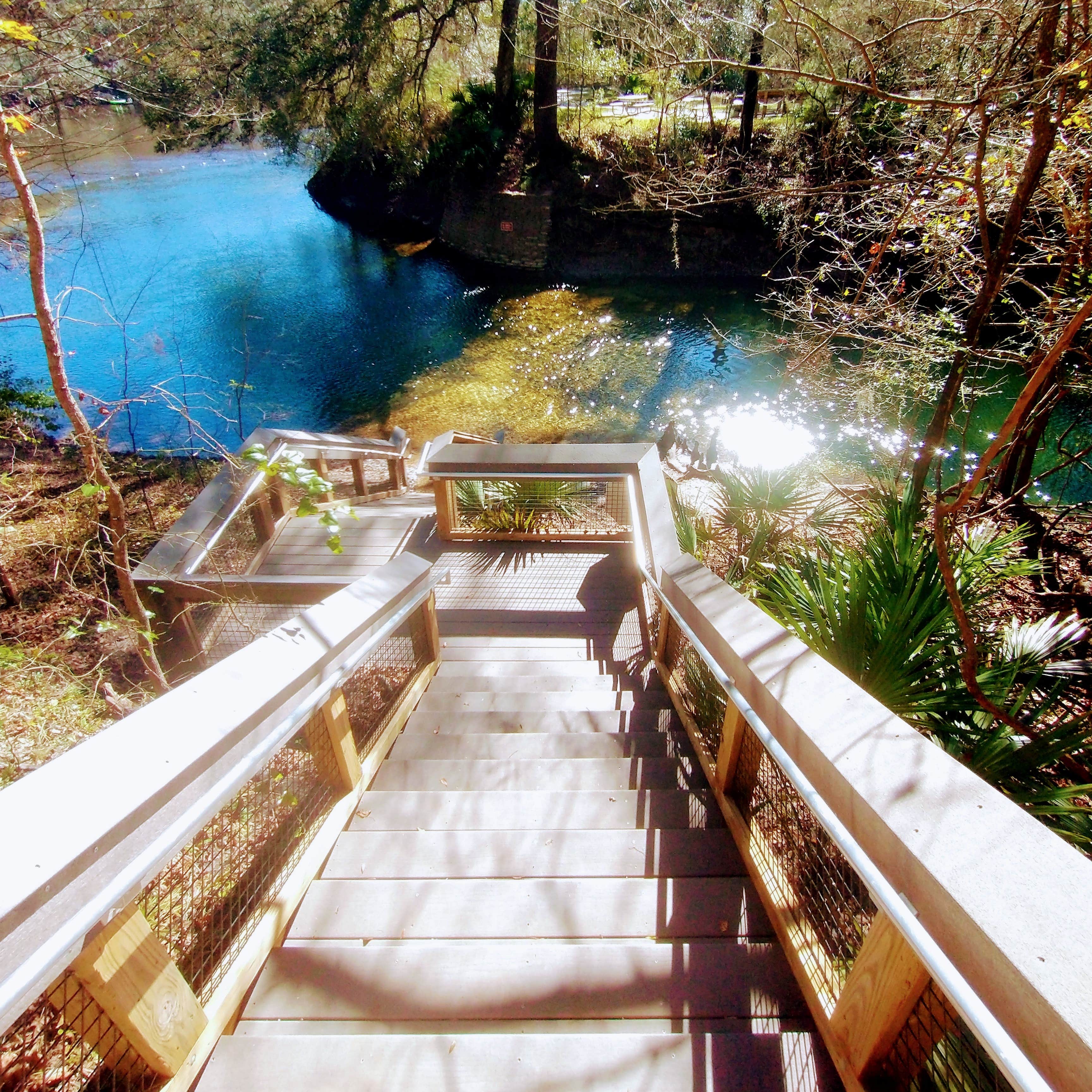 Lafayette Blue Springs State Park Campground | Mayo, Florida