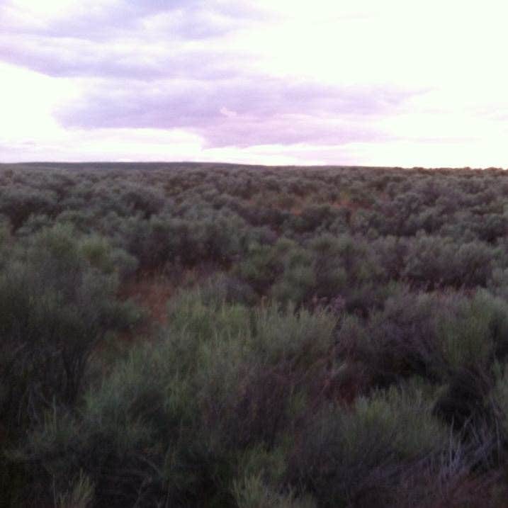 Potholes State Park Camping | The Dyrt