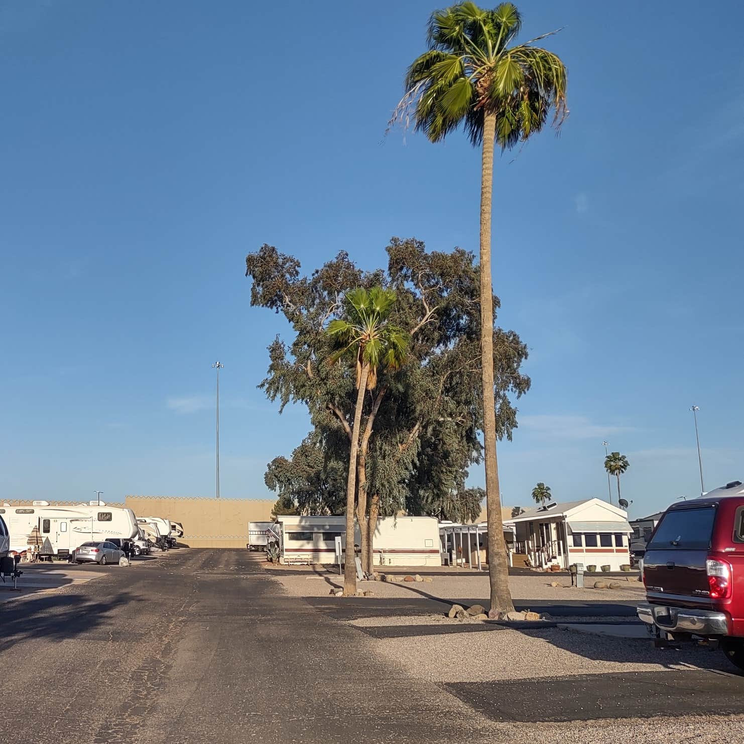 Prince of Tucson RV Park Camping | The Dyrt