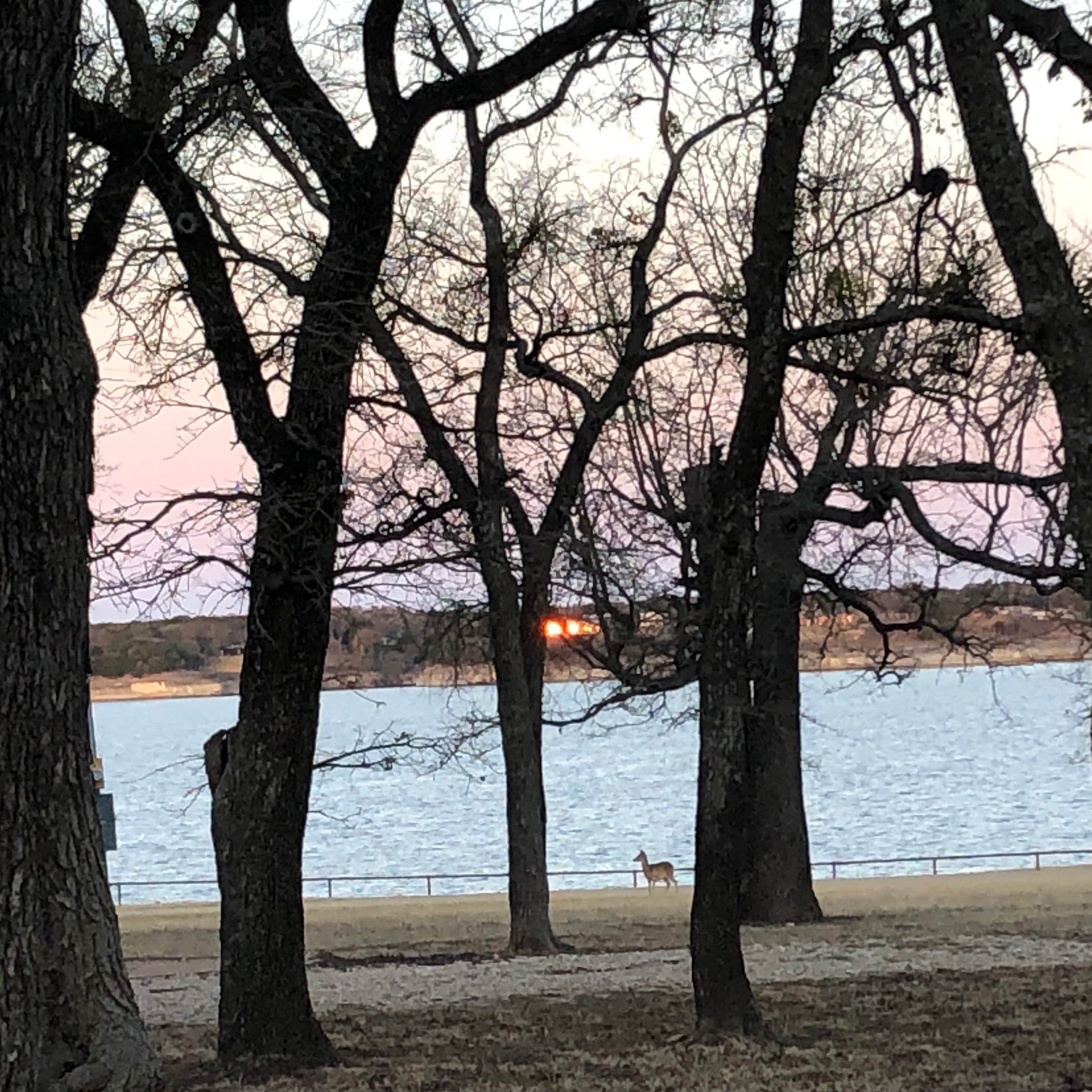 Lofers Bend West Camping | Whitney, Texas