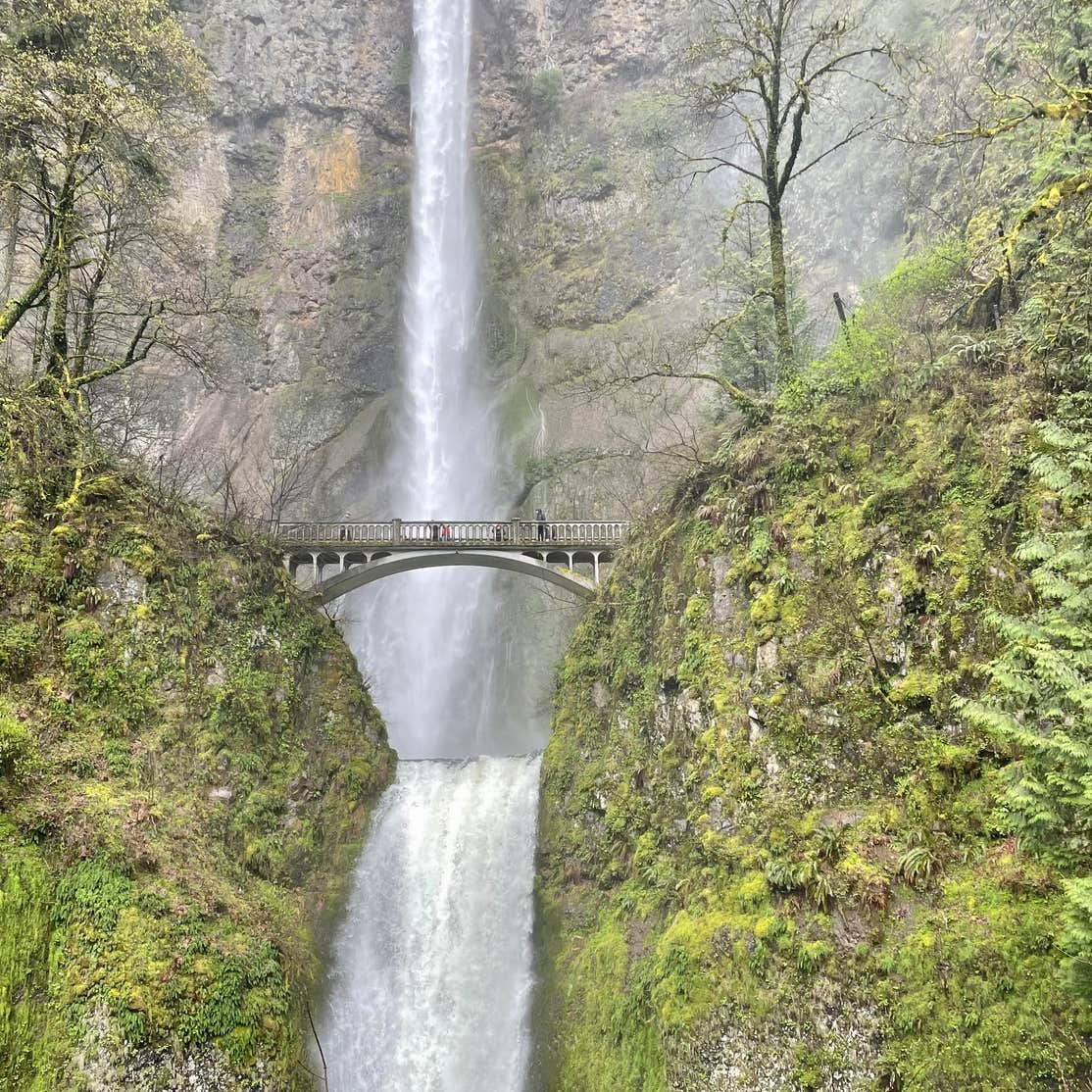 Cascade Locks KOA Camping | Cascade Locks, Oregon