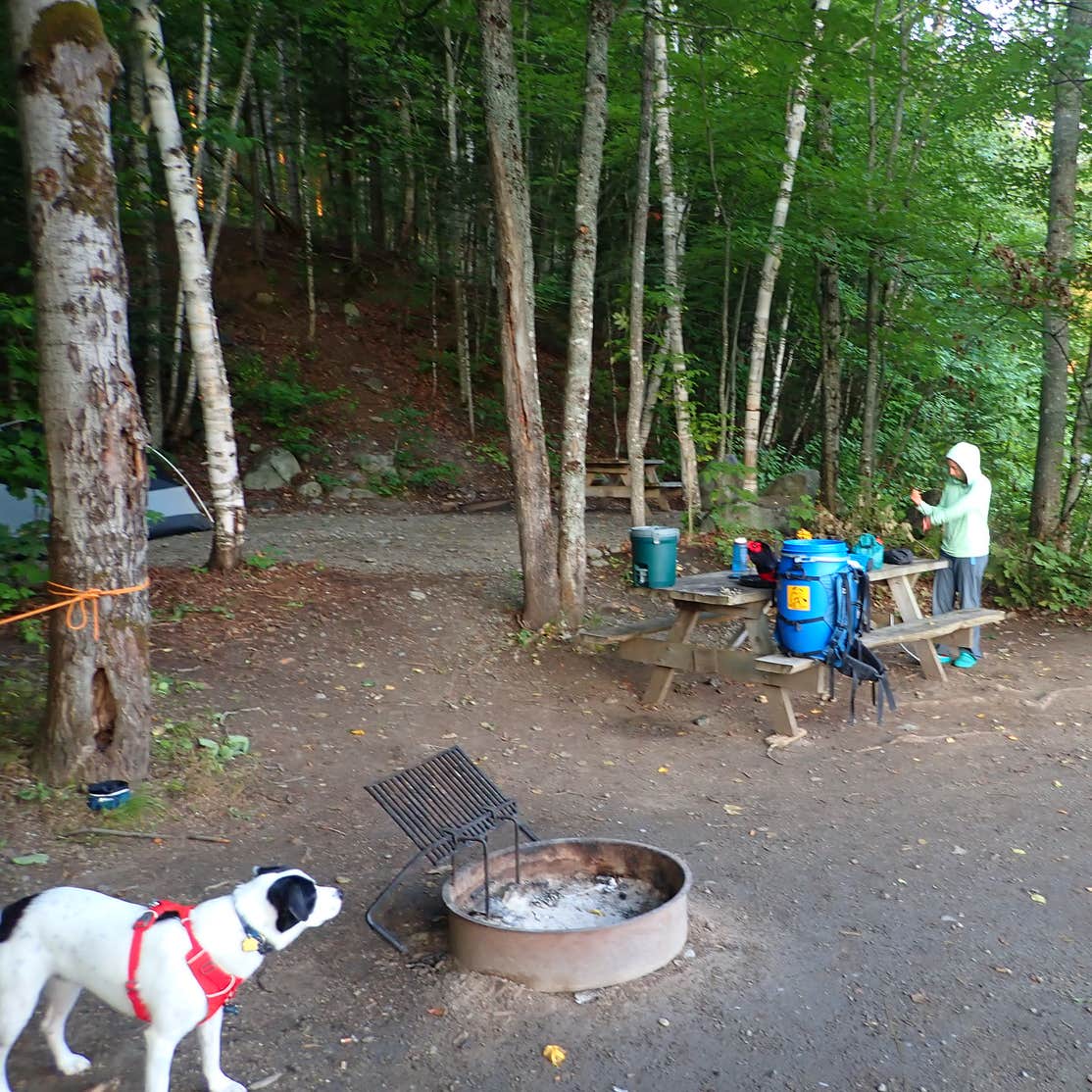 Big Eddy Camping | Caratunk, ME