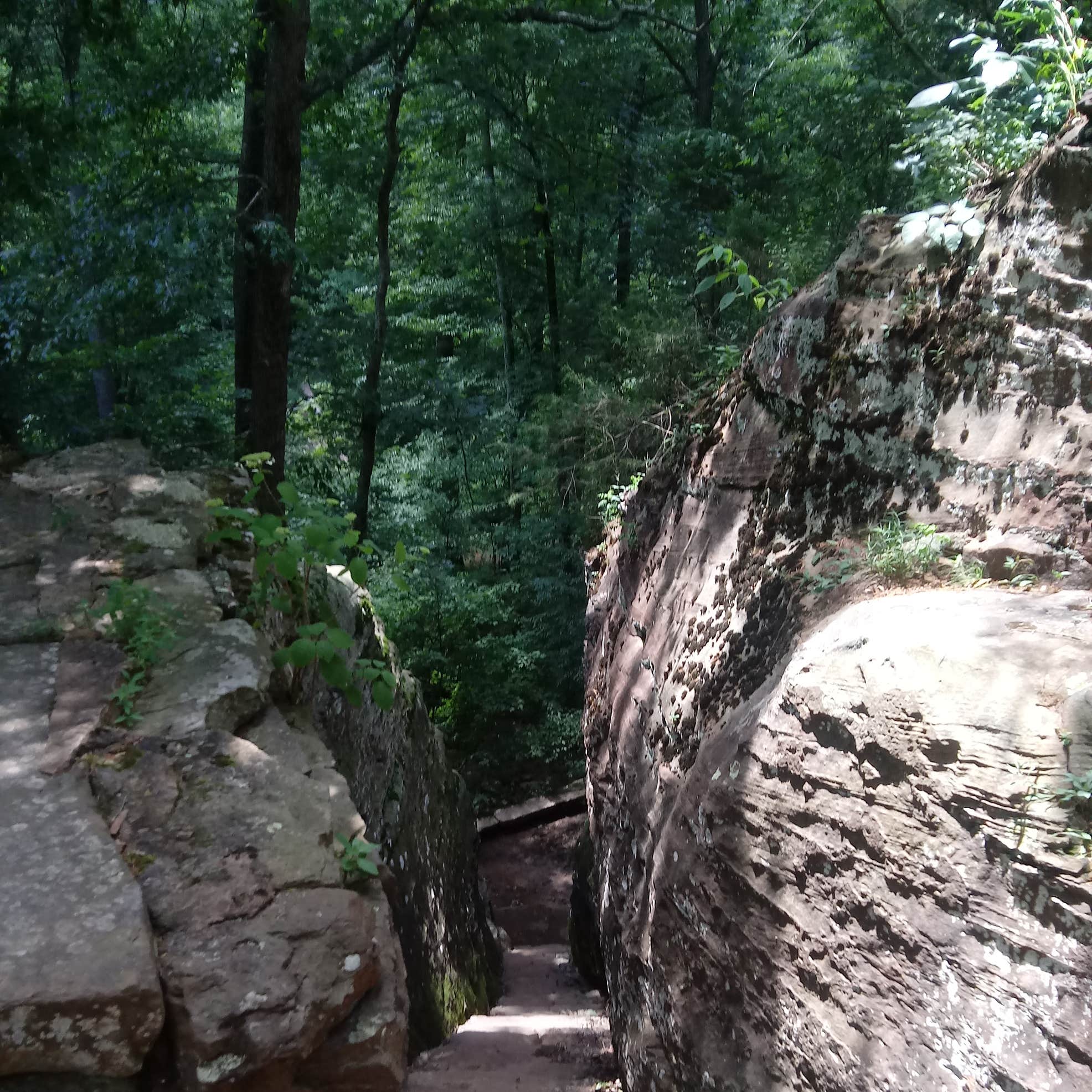 Redbud Campground at Bell Smith Springs Camping | The Dyrt