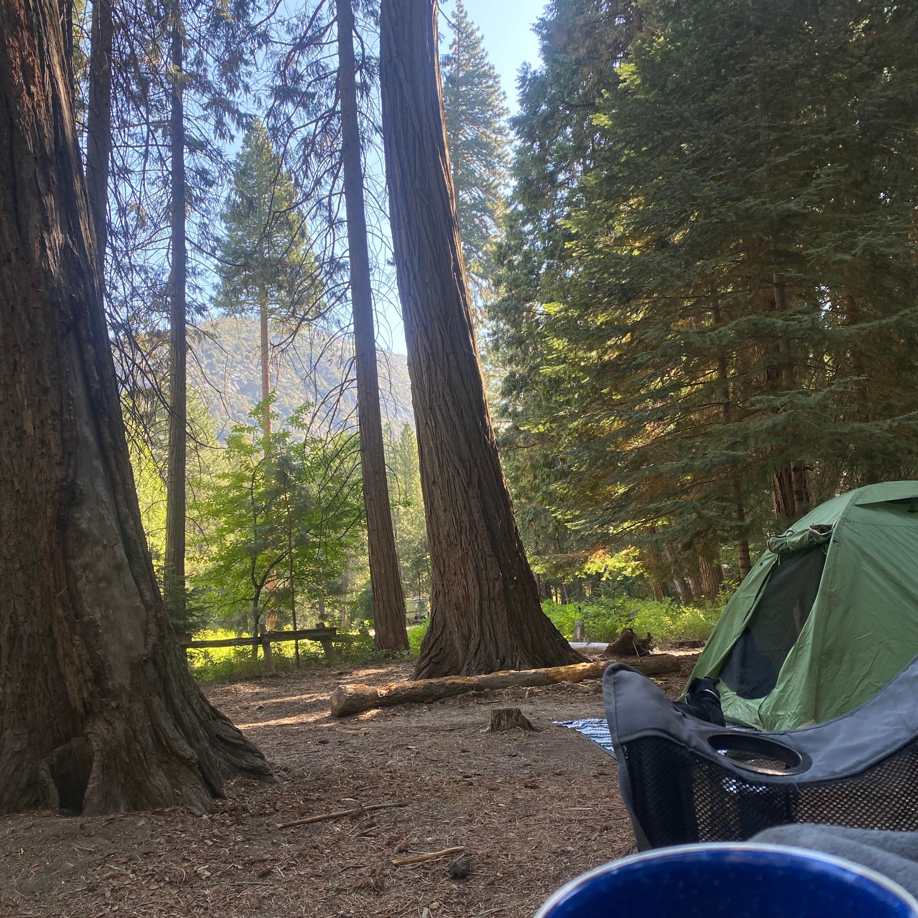 Sentinel Campground — Kings Canyon National Park | Three rivers, CA