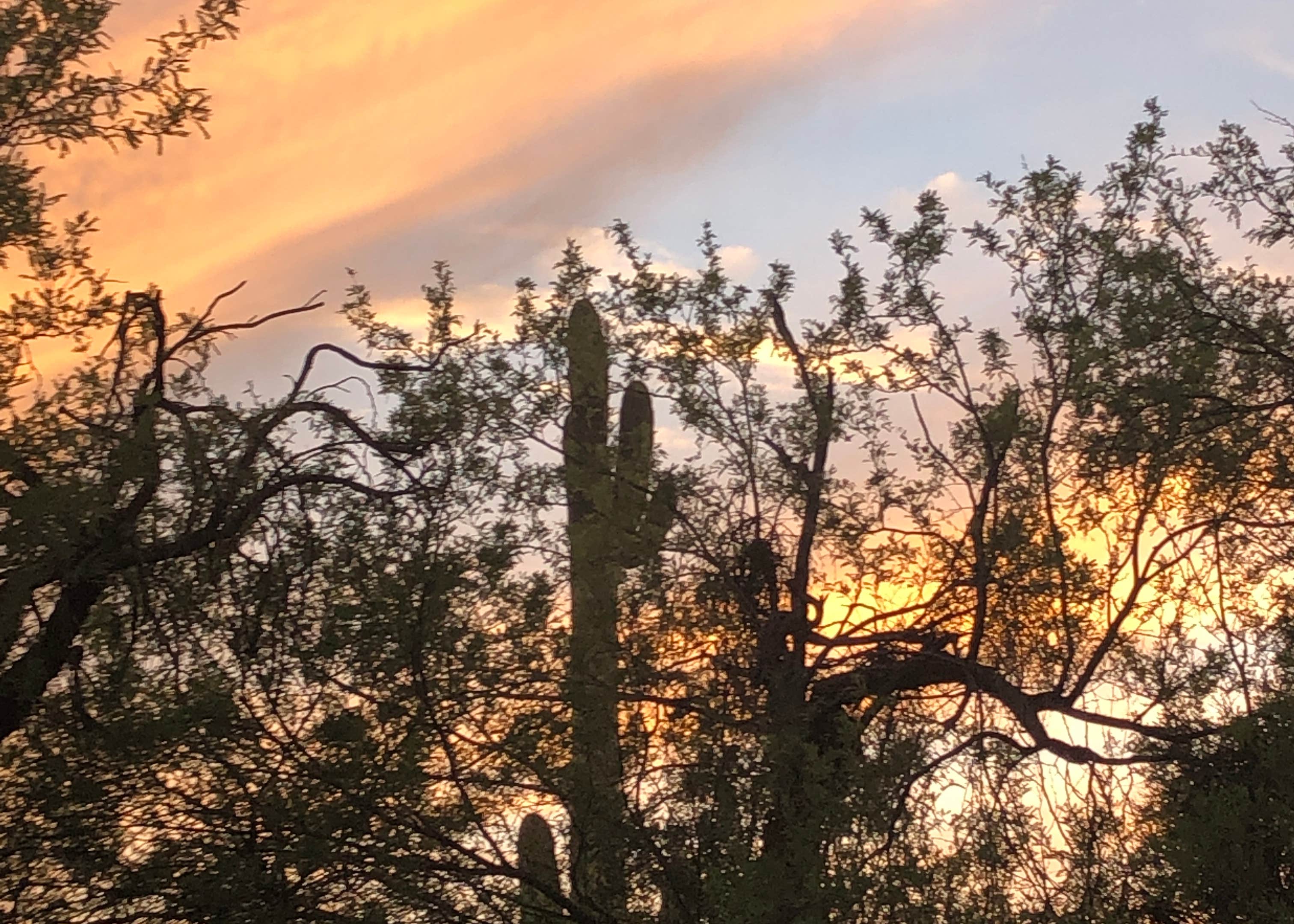 Box Bar Camping | The Dyrt