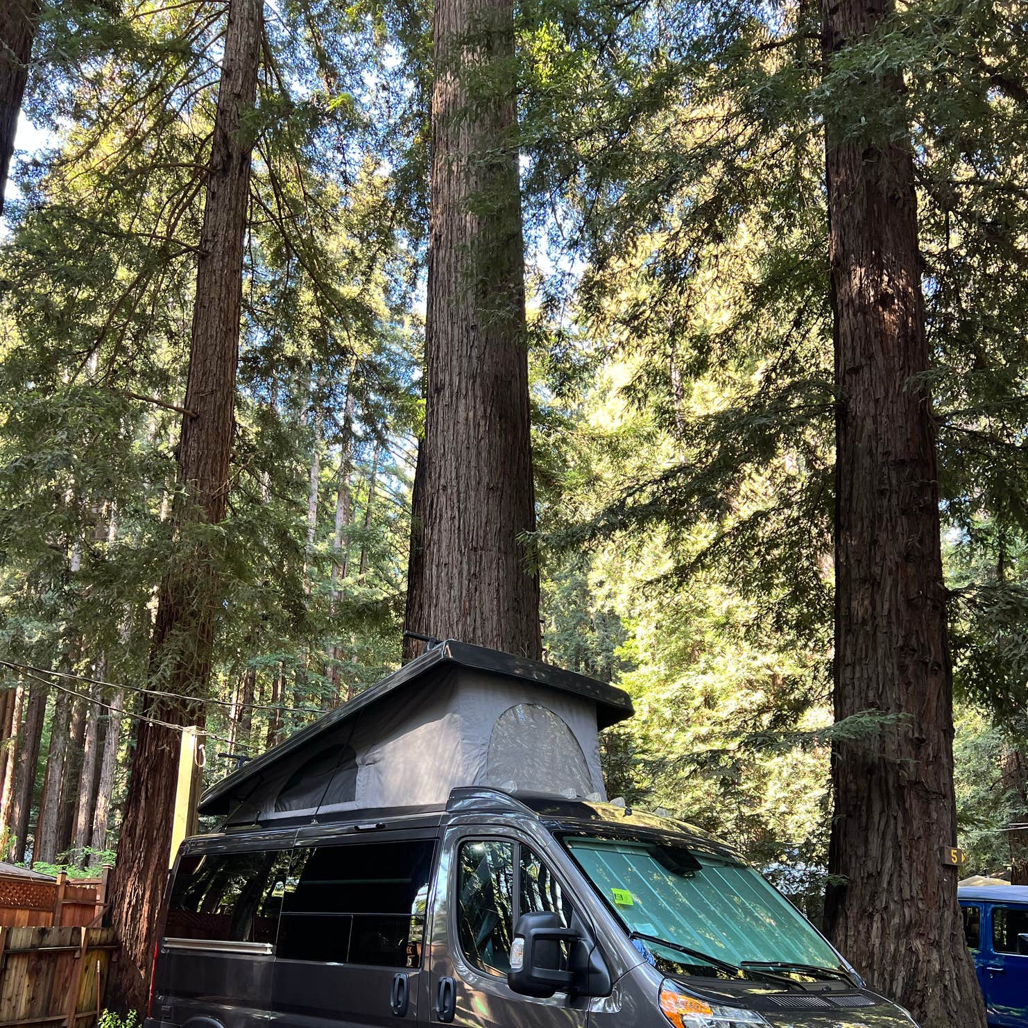 Santa Cruz Redwoods RV Resort | Felton, CA