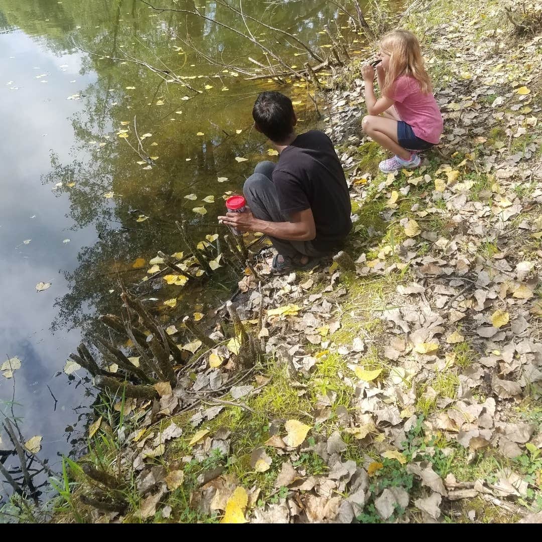 The Playful Goose Campground Camping | The Dyrt