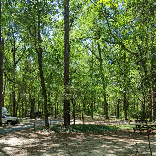 Suwannee River Rendezvous Resort and Campground | Mayo, FL
